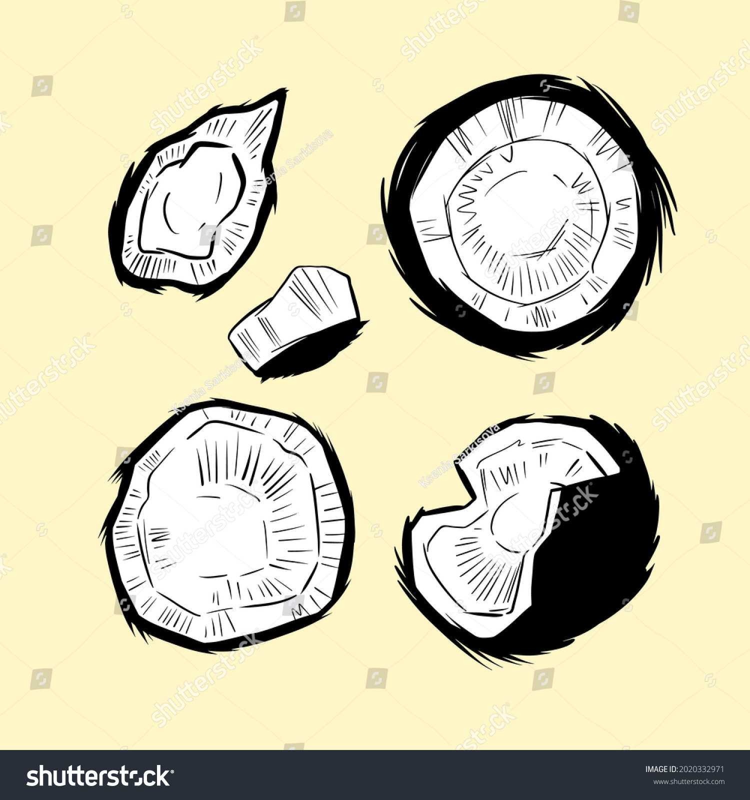 Coconut Sketch Vector Set Illustration Broken Stock Vector (Royalty ...