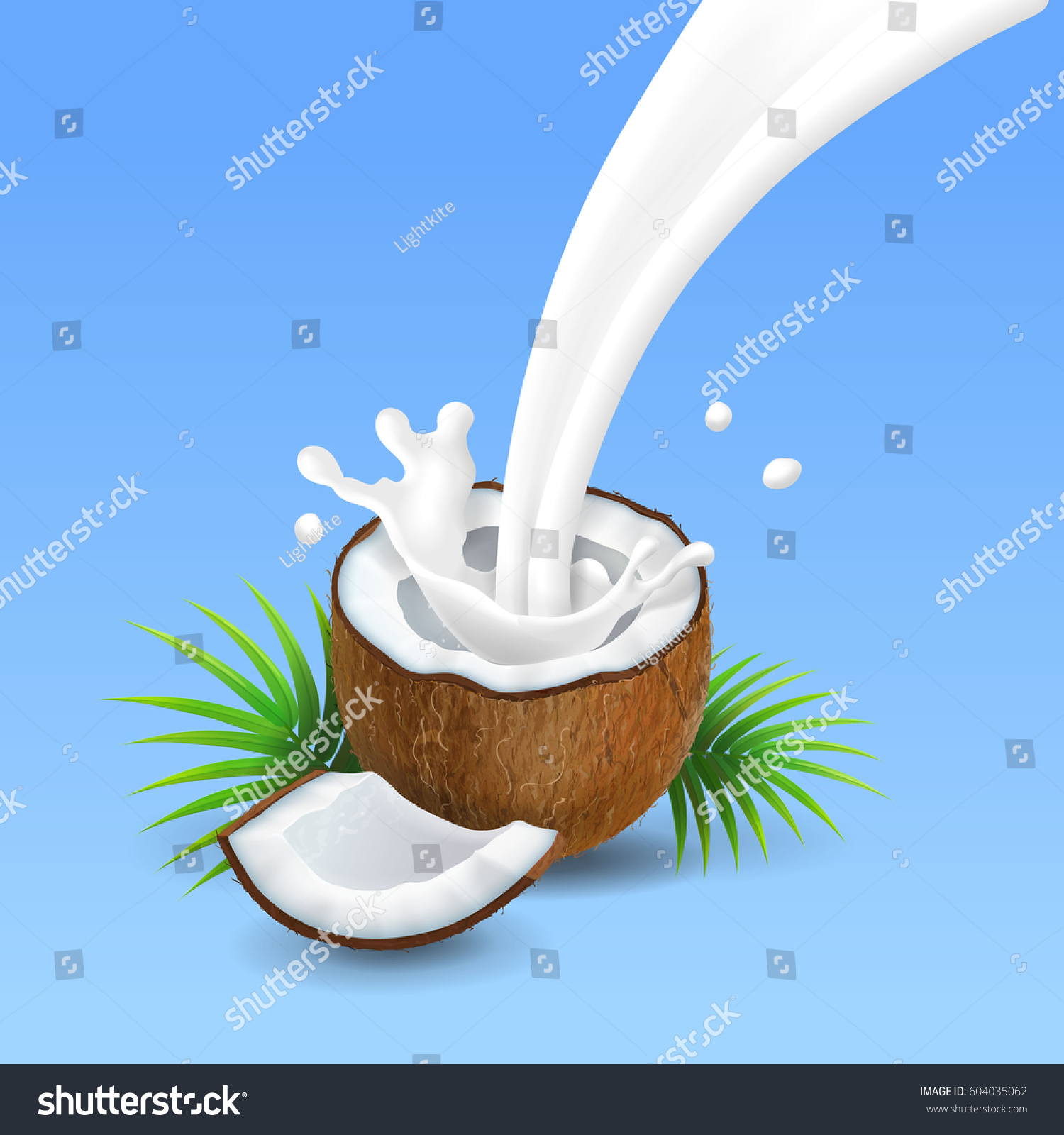 Coconut Milk Splash Vector Illustration Stock Vector (Royalty Free ...