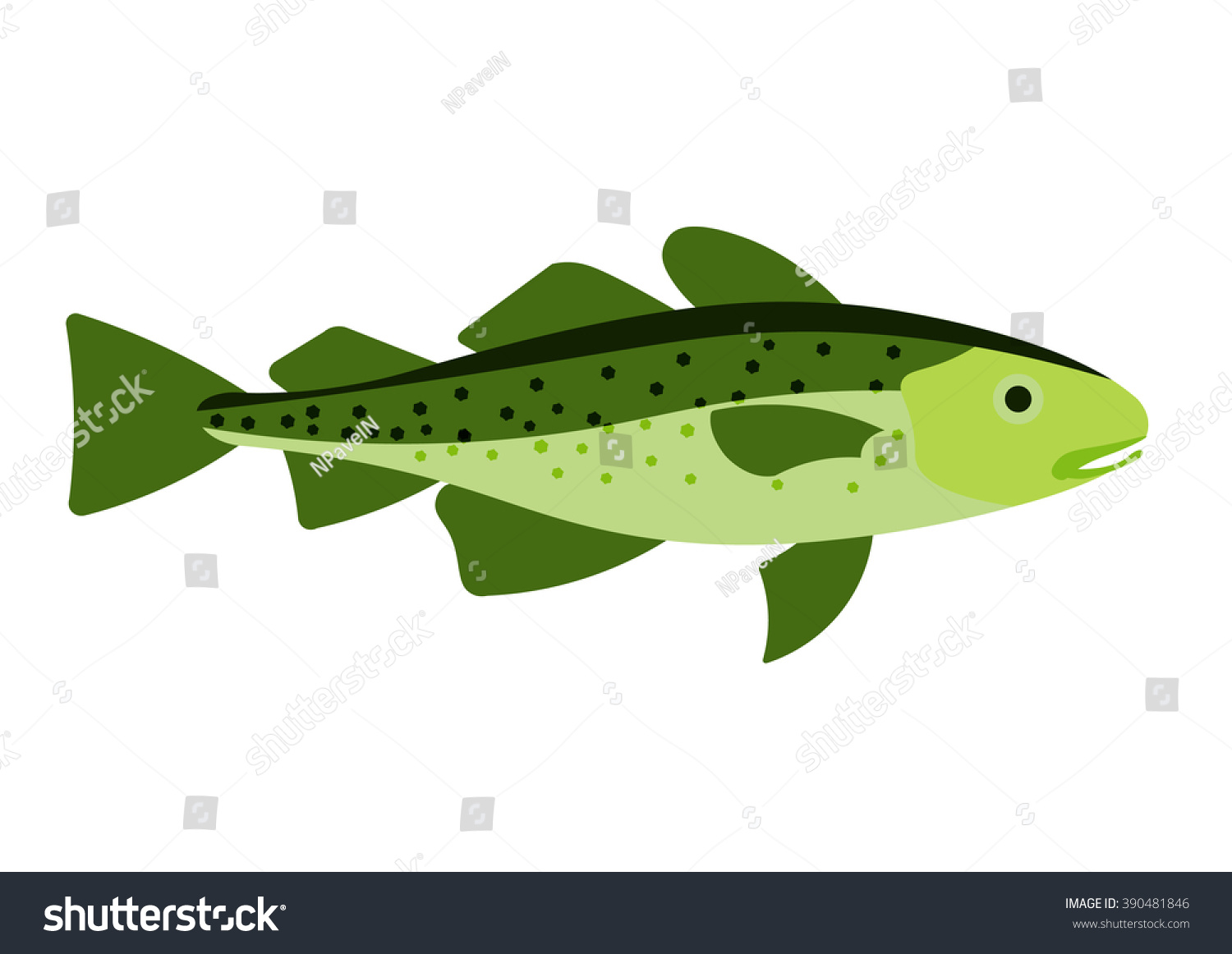 Cod Fish Vector Illustration Isolated On: เวกเตอร์สต็อก (ปลอดค่า ...