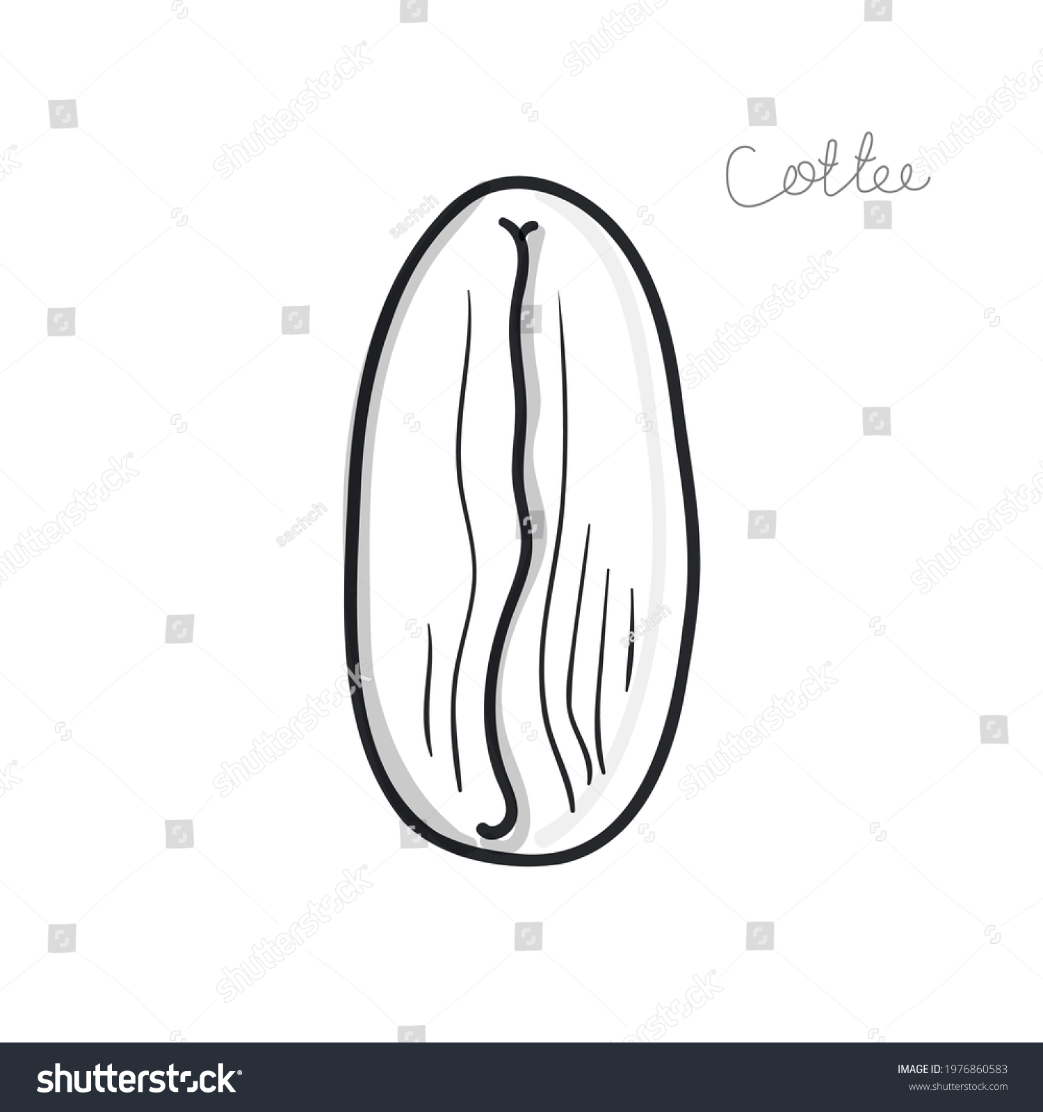 Coffee Bean Outline Isolation Vector Illustration Stock Vector (Royalty ...