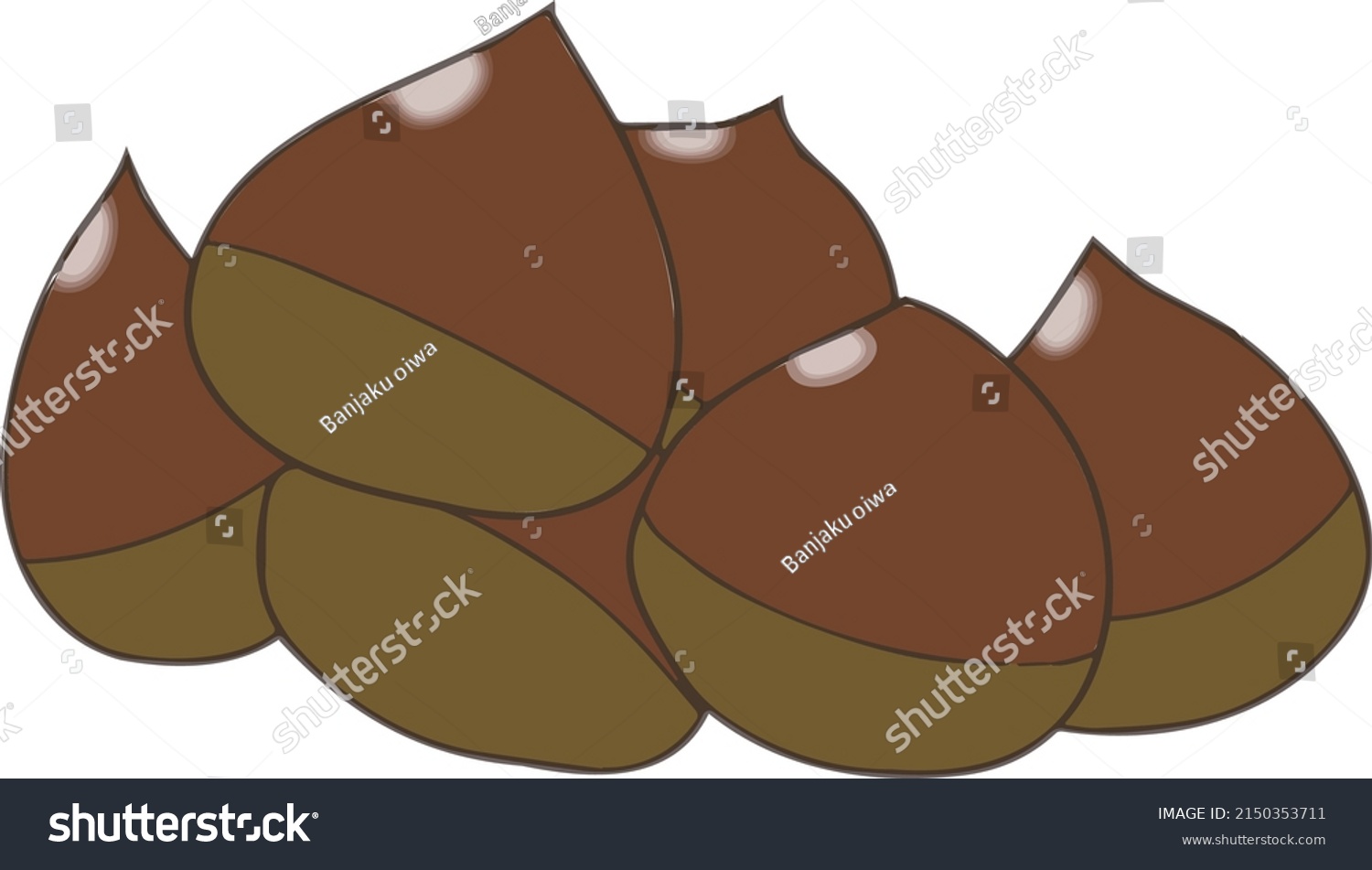 Collected Chestnut Cartoon Style Vector Stock Vector (Royalty Free ...
