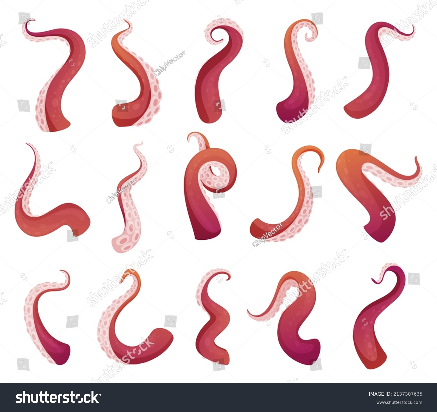 Collection Octopus Tentacles Different Shape Vector Stock Vector ...