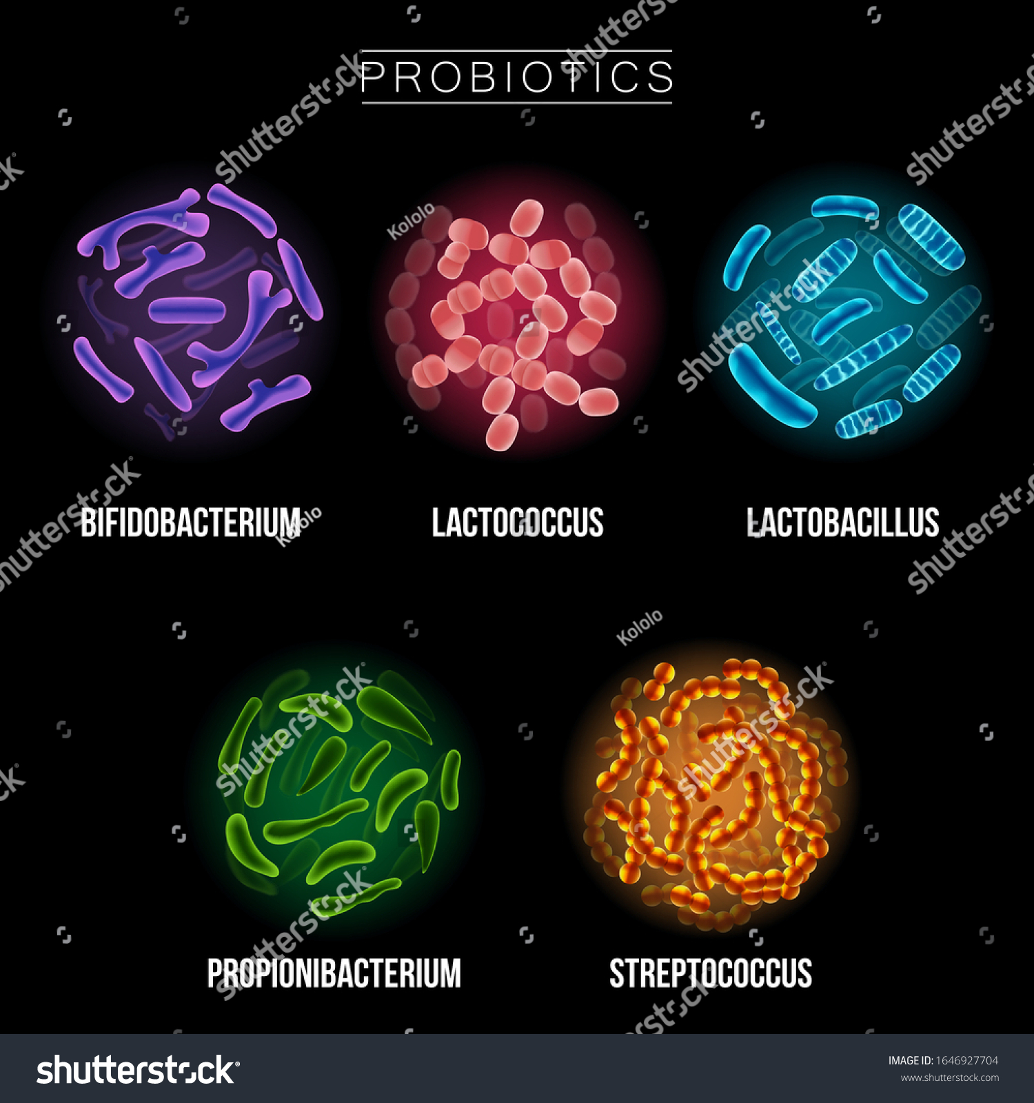 Collection Different Probiotic Microorganisms Illustrations Good Stock