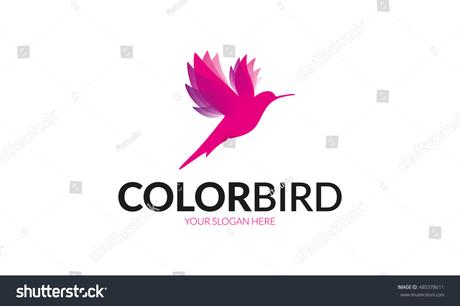 Color Bird Logo Stock Vector (Royalty Free) 485378611