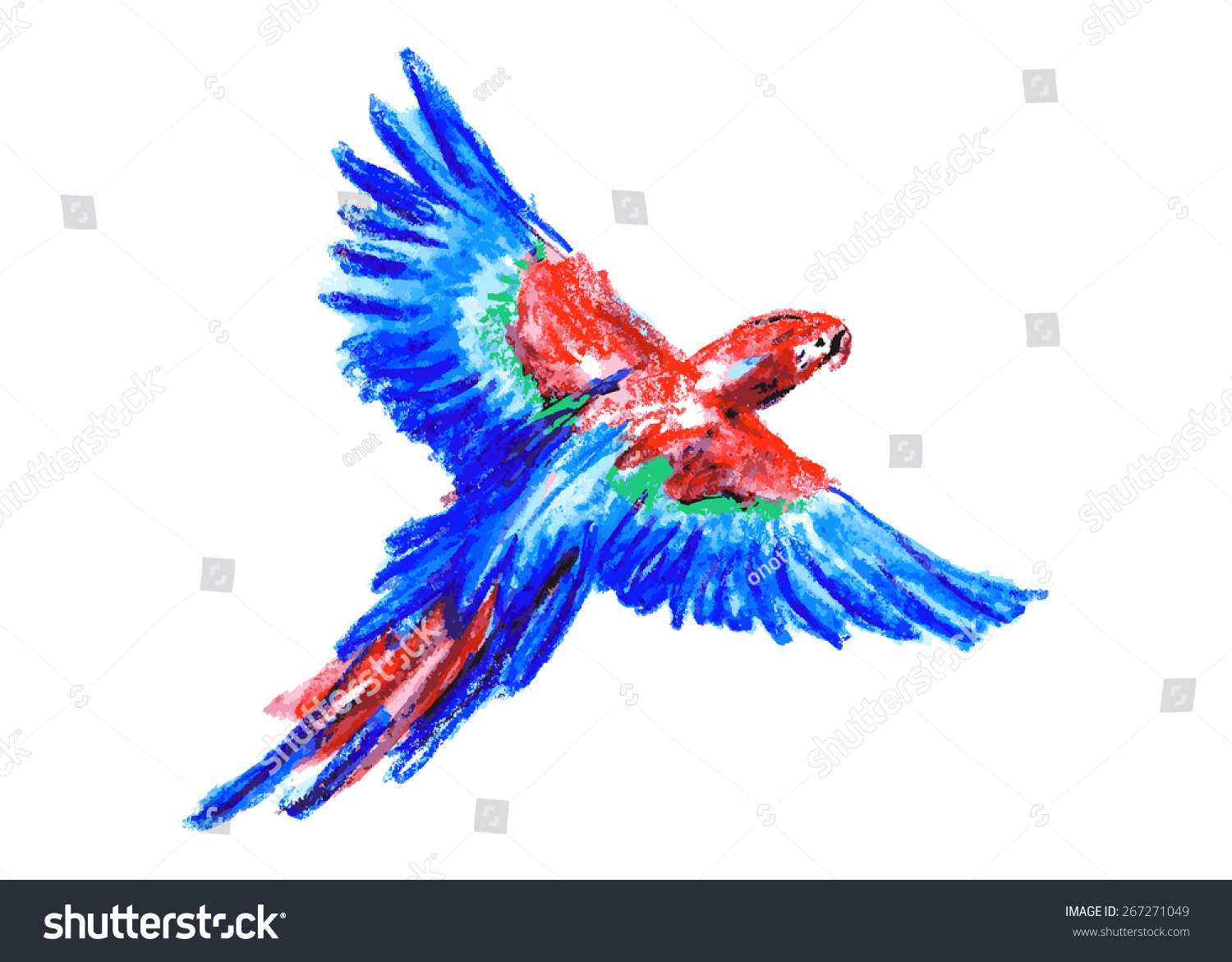 Color Drawing Macaw Stock Vector (Royalty Free) 267271049 | Shutterstock