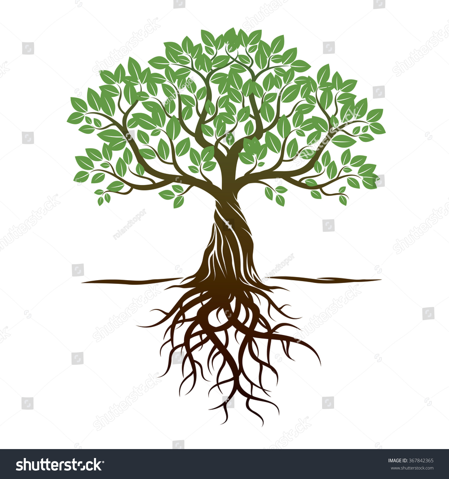 263,570 Green tree roots Images, Stock Photos & Vectors | Shutterstock