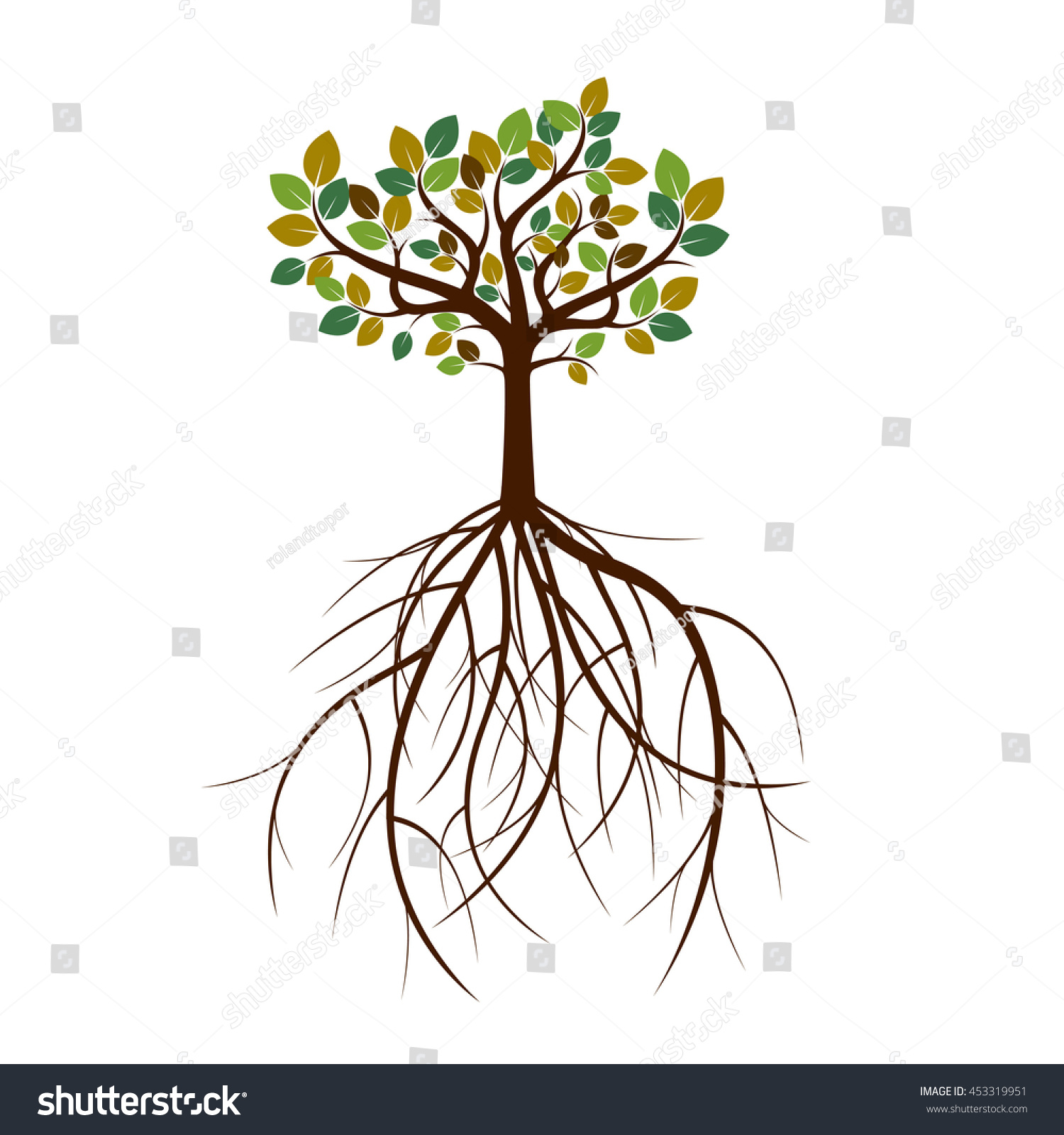 Color Tree Roots Vector Illustration: vector de stock (libre de ...