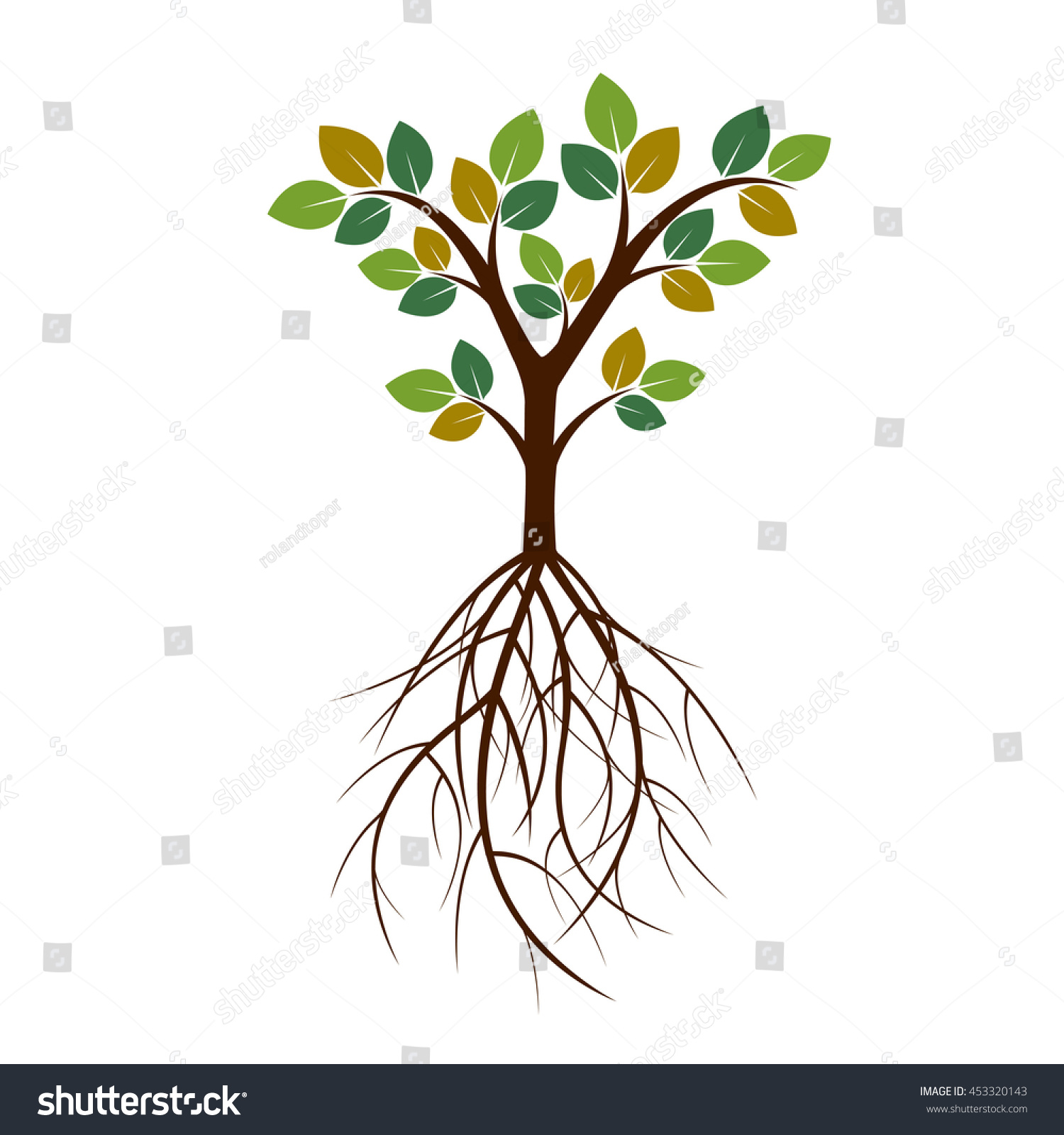 Color Tree Roots Vector Illustration: เวกเตอร์สต็อก (ปลอดค่าลิขสิทธิ์ ...