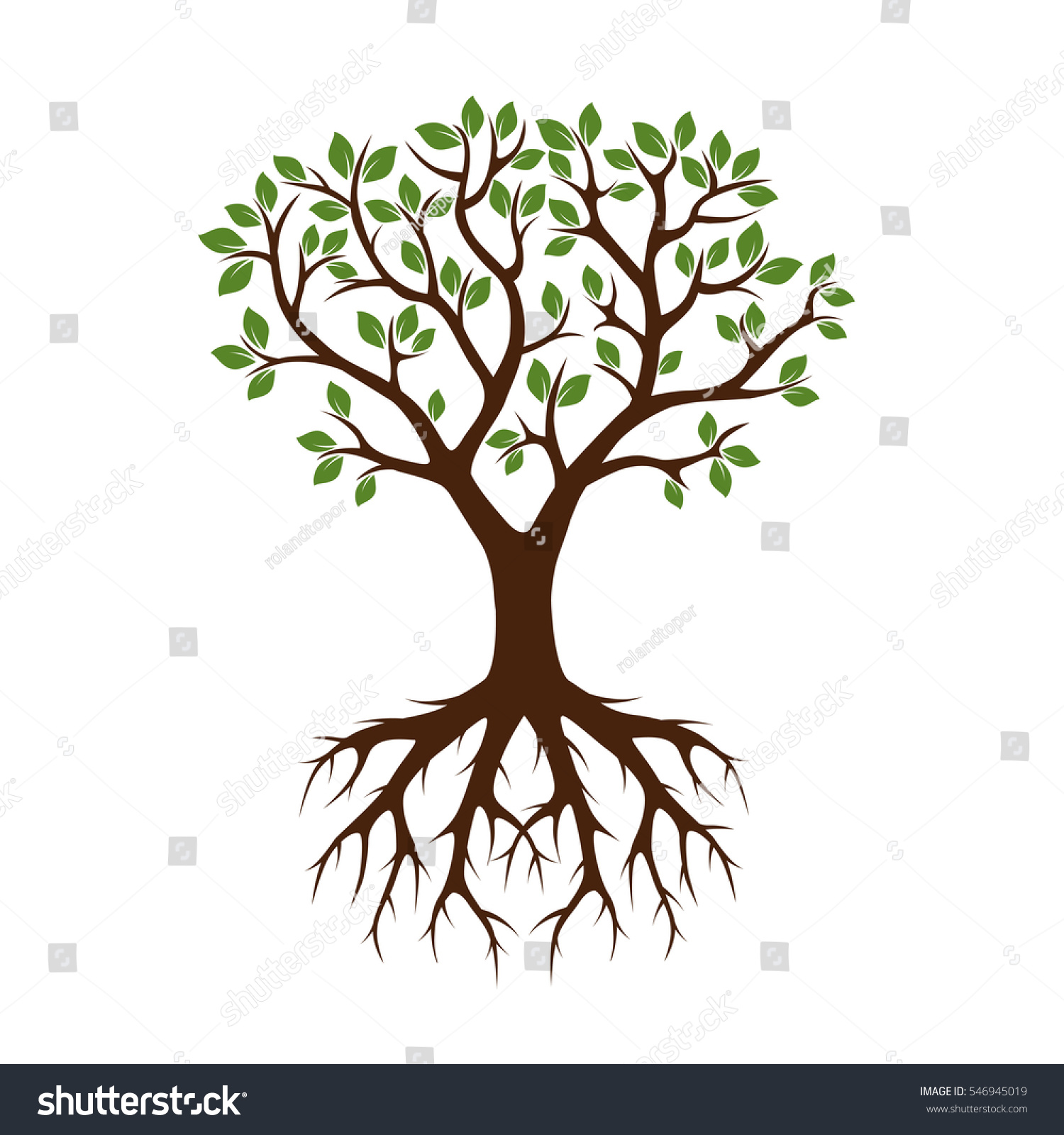 Color Tree Roots Vector Illustration 스톡 벡터(로열티 프리) 546945019 | Shutterstock