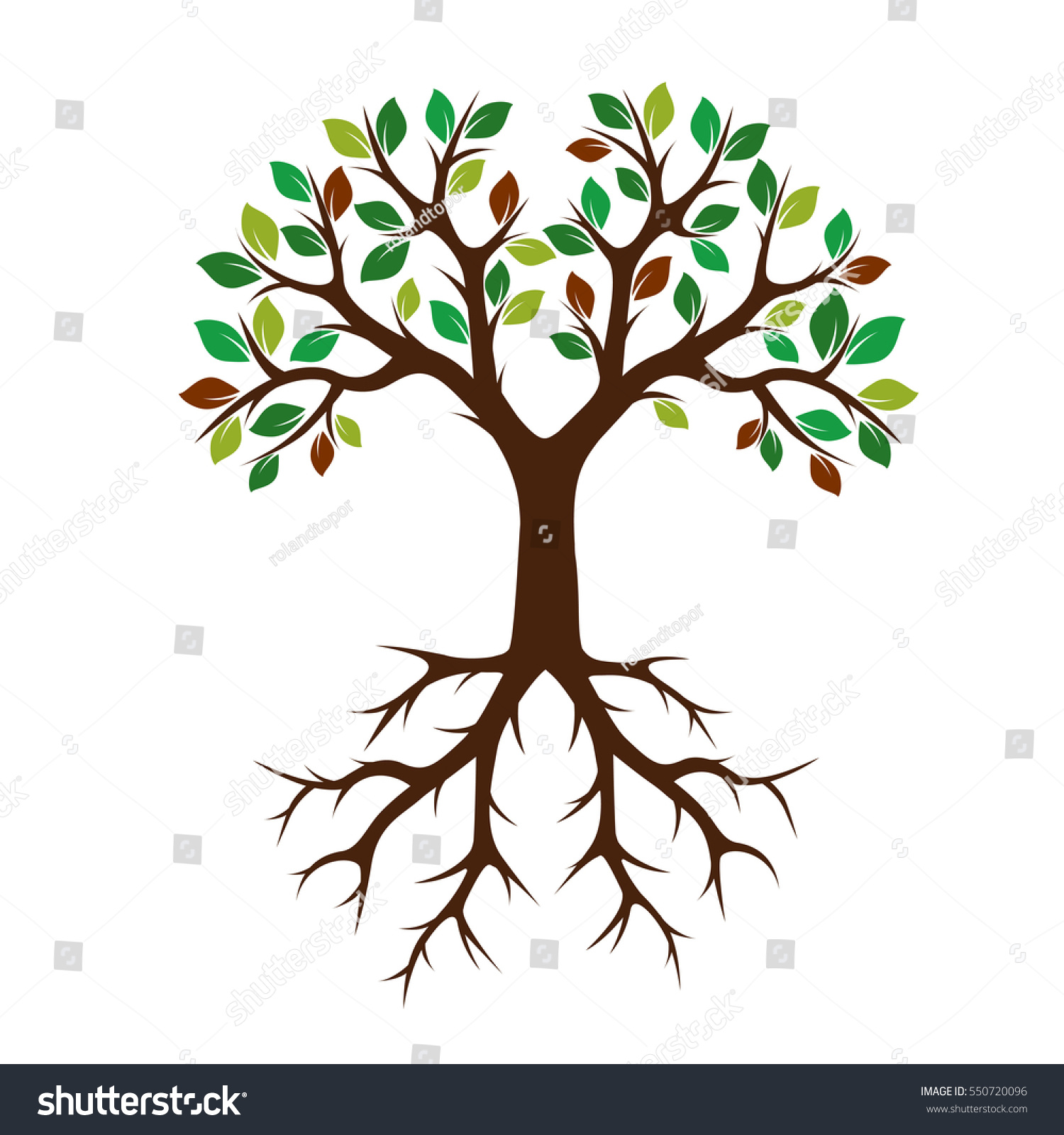 Color Tree Roots Vector Illustration 스톡 벡터(로열티 프리) 550720096 | Shutterstock