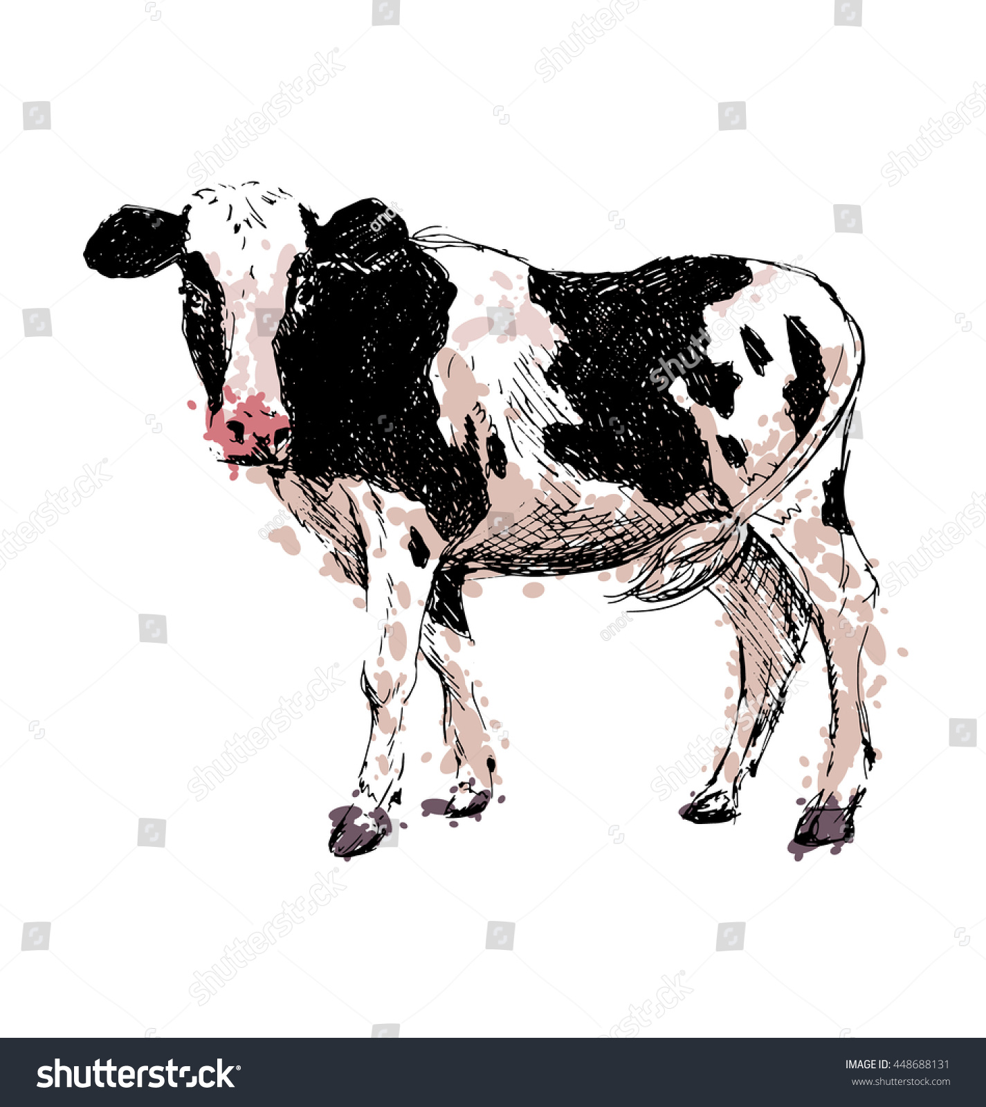 Colored Hand Drawing Cow Vector Illustration: vector de stock (libre de ...