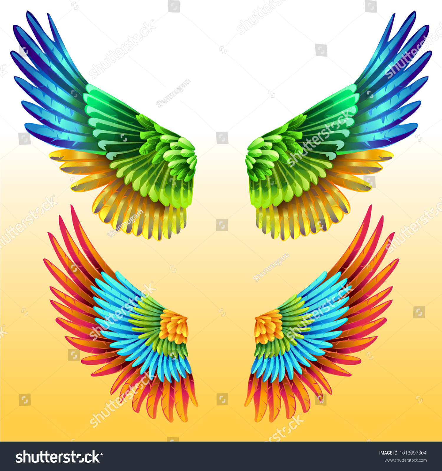 Colorful Macaw Wings Stock Vector (Royalty Free) 1013097304