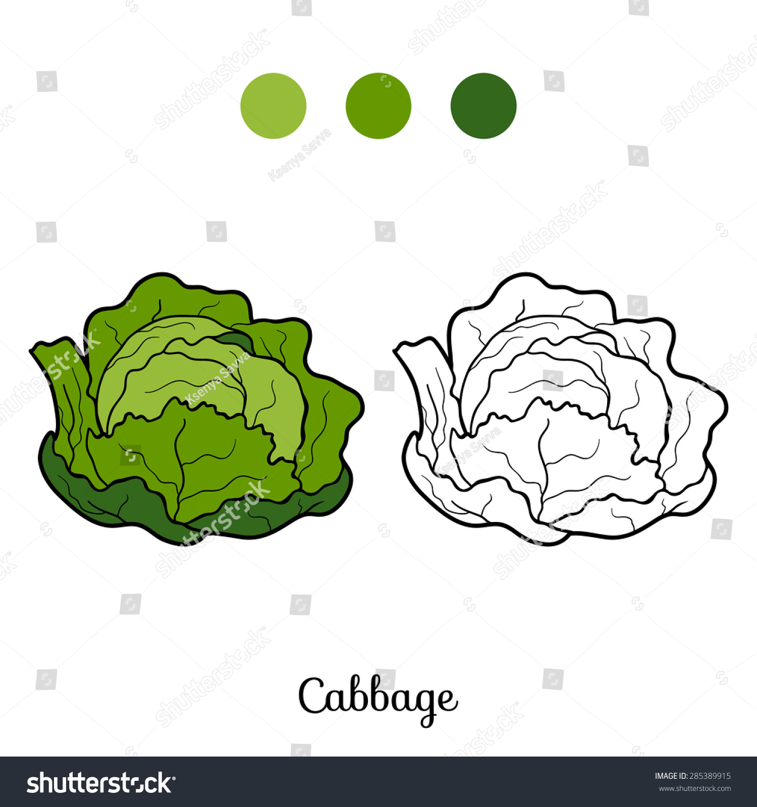 Coloring Book Cabbage Stock Vector (Royalty Free) 285389915 | Shutterstock