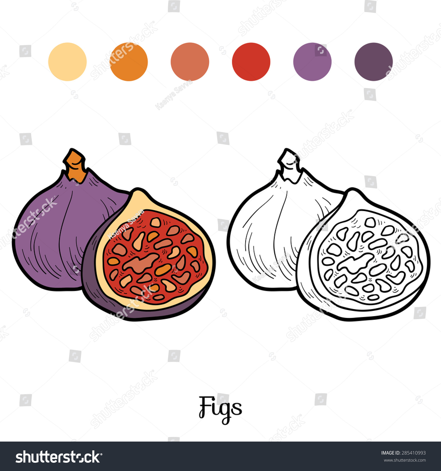 Coloring Book Figs Stock Vector (Royalty Free) 285410993 | Shutterstock