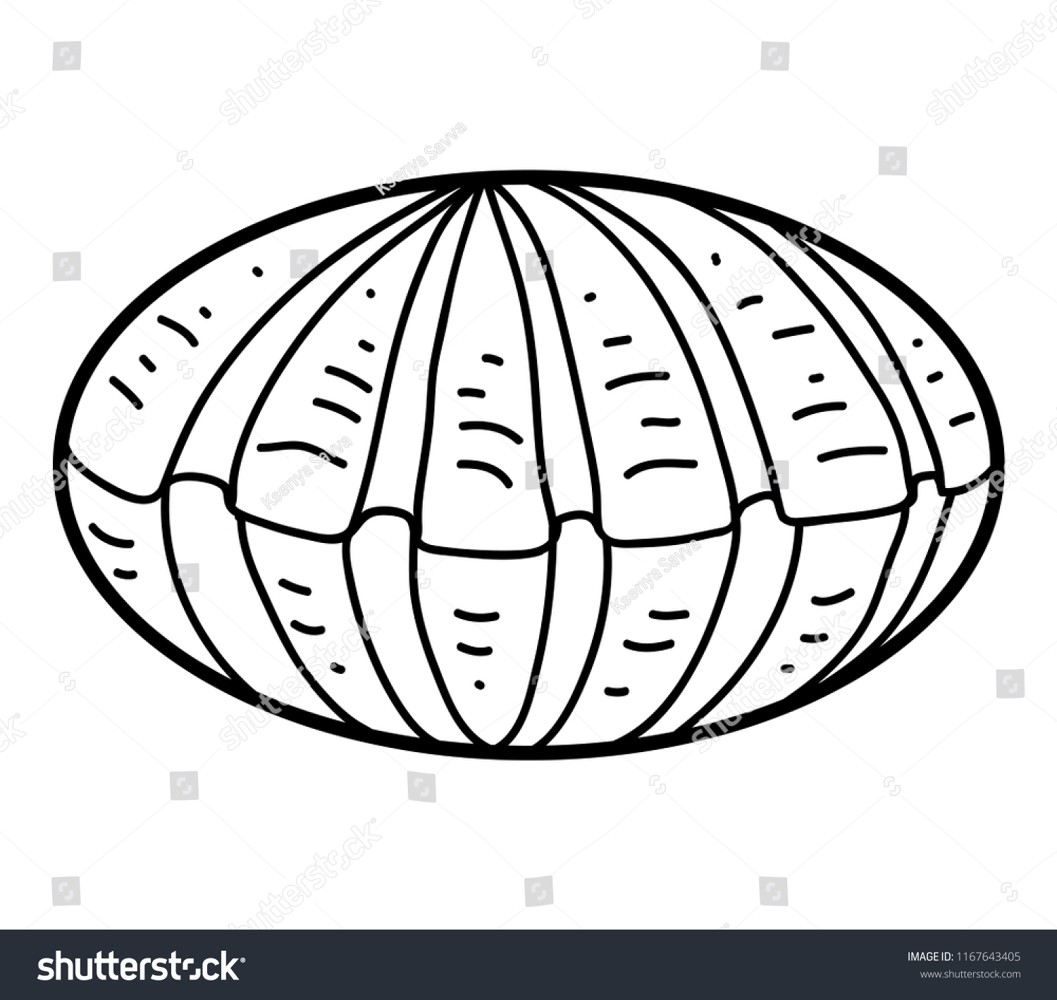 Coloring Book Children Shell Stock Vector (Royalty Free) 1167643405 ...
