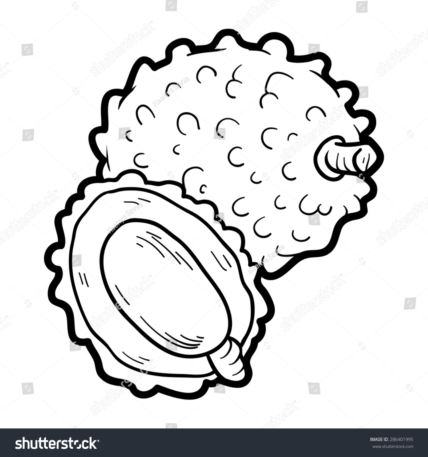 Coloring Book Lychee Stock Vector (Royalty Free) 286401995 | Shutterstock