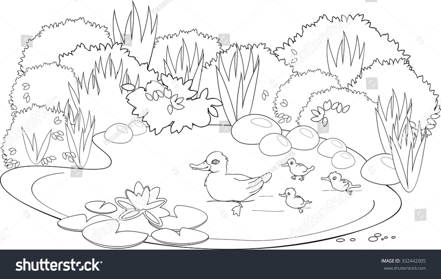 Coloring Duck Pond: เวกเตอร์สต็อก (ปลอดค่าลิขสิทธิ์) 332442005