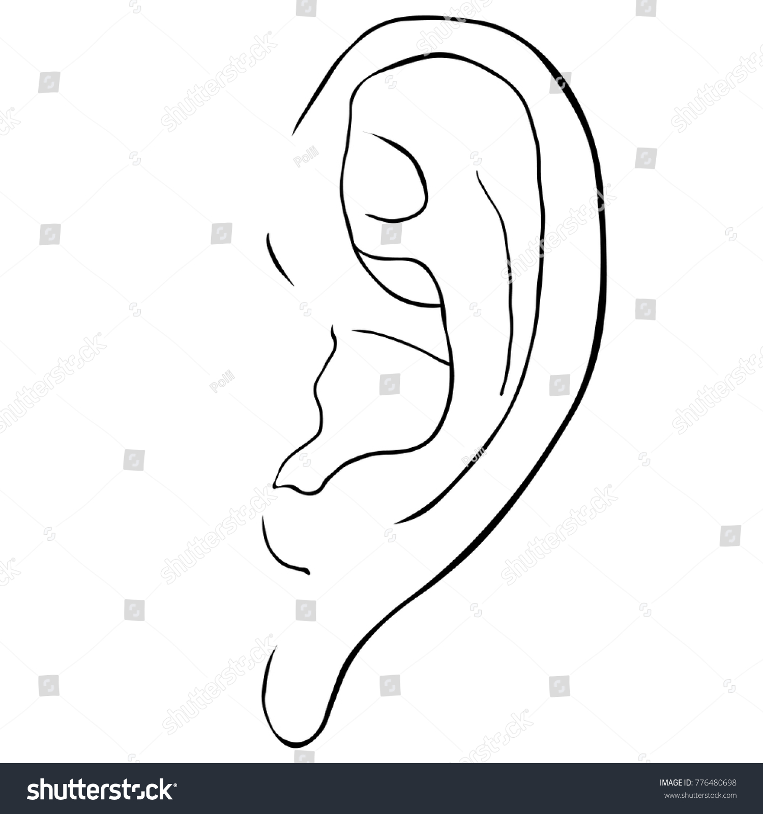 Coloring Human Ear Frontal View Vector Stock Vector (Royalty Free ...