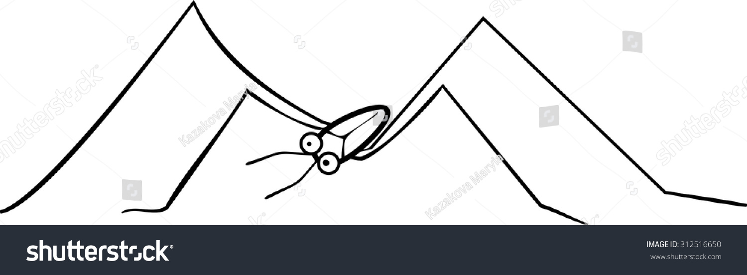 Coloring Page Water Strider Stock Vector (Royalty Free) 312516650 ...