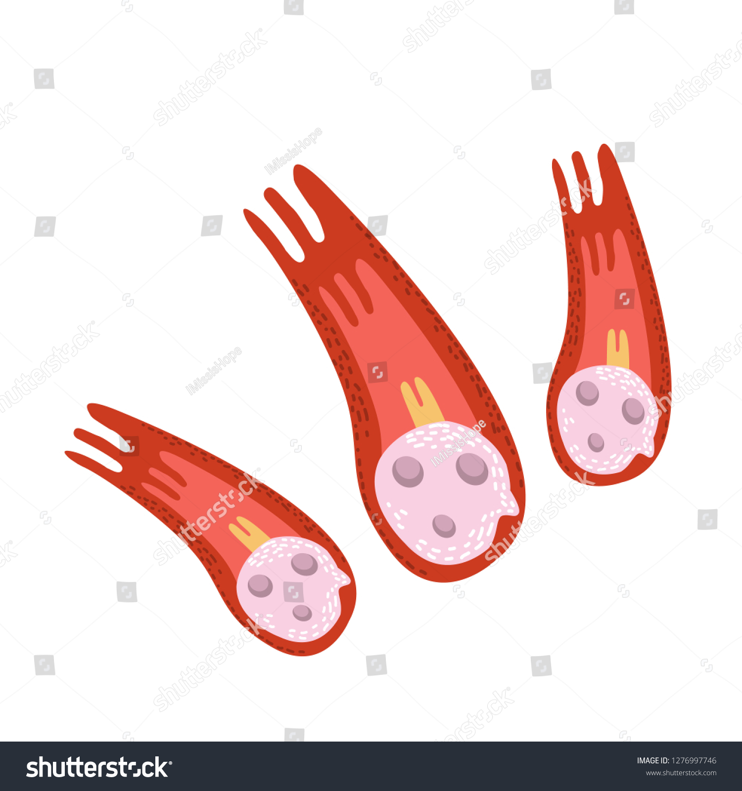 Comet Vector Illustration Simple Stock Vector (Royalty Free) 1276997746 ...