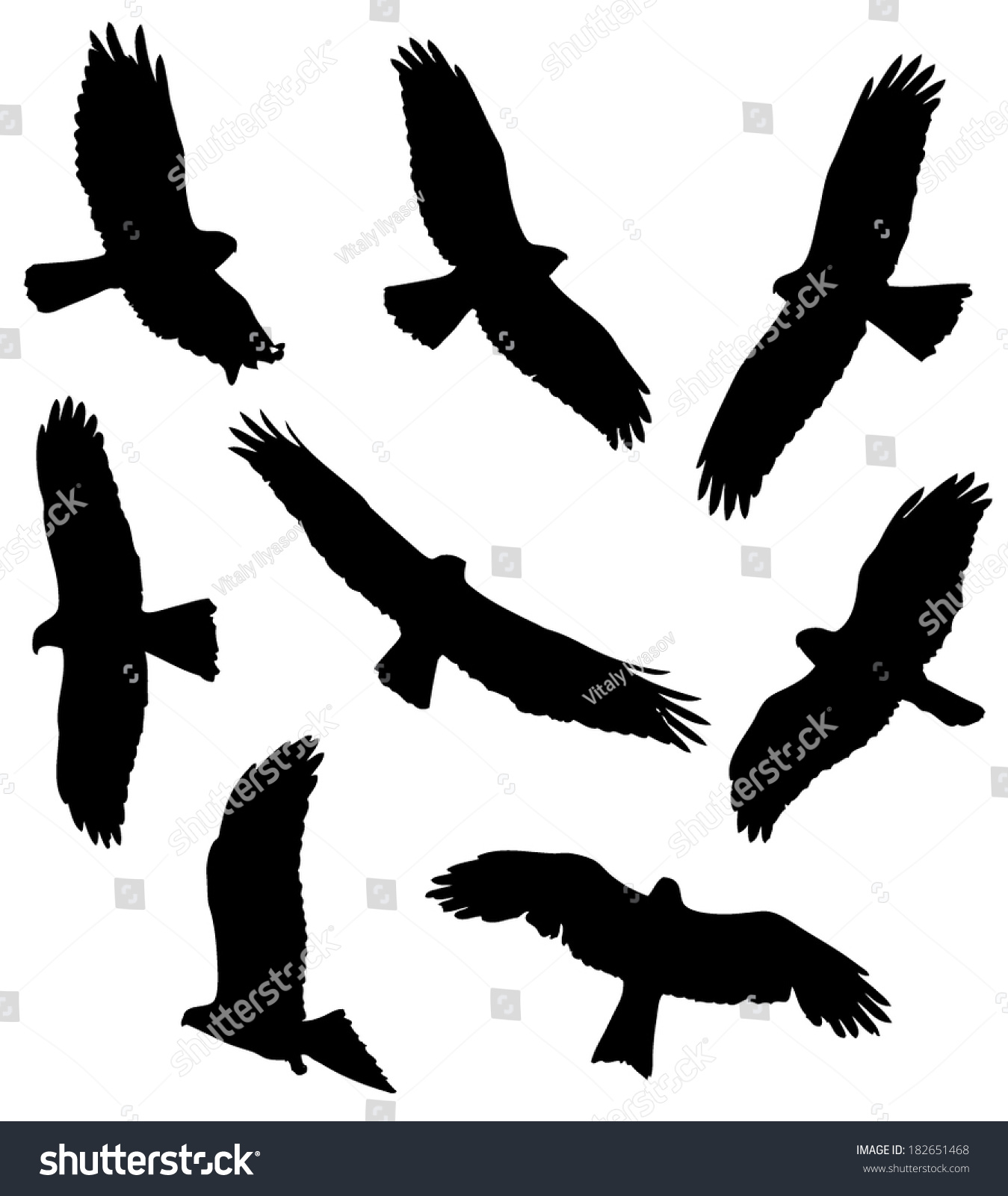 Common Buzzard Flight Silhouettes Stock Vector 182651468 - Shutterstock