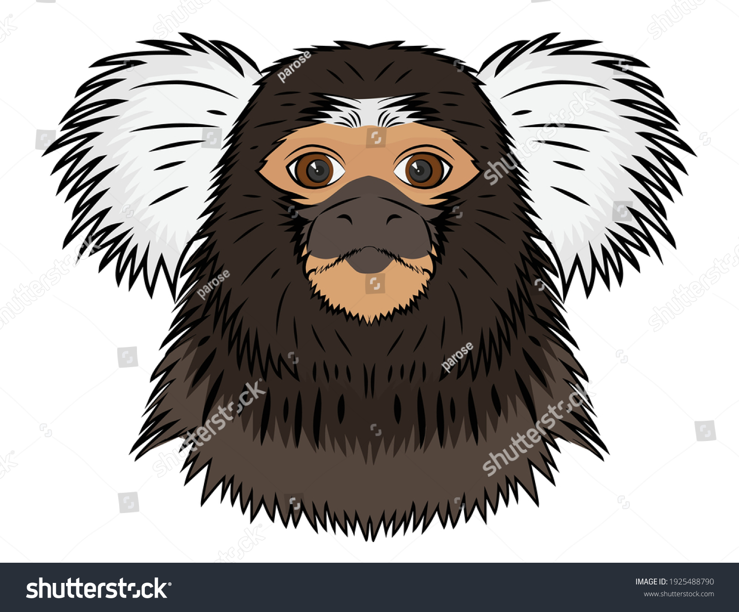 Common Marmoset Monkey Cartoon Illustration Stock Vector (Royalty Free ...