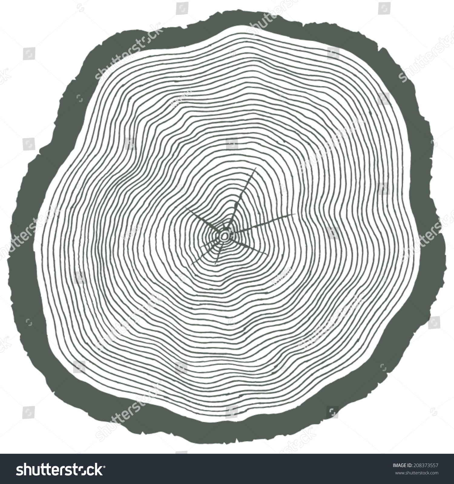 Conceptual Background Treerings Vector Graphics Stock Vector (Royalty ...