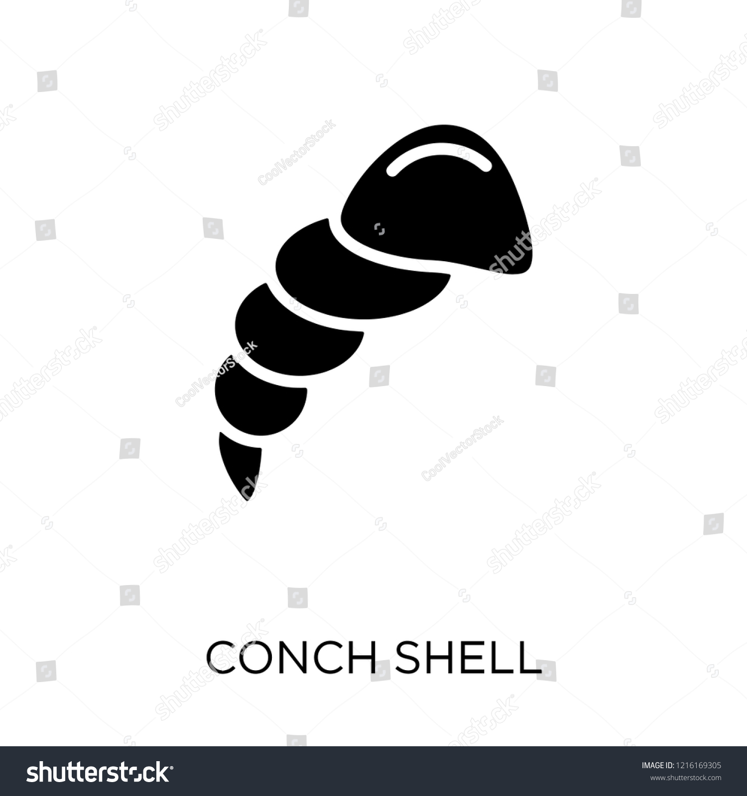 Conch Shell Icon Conch Shell Symbol: เวกเตอร์สต็อก (ปลอดค่าลิขสิทธิ์ ...