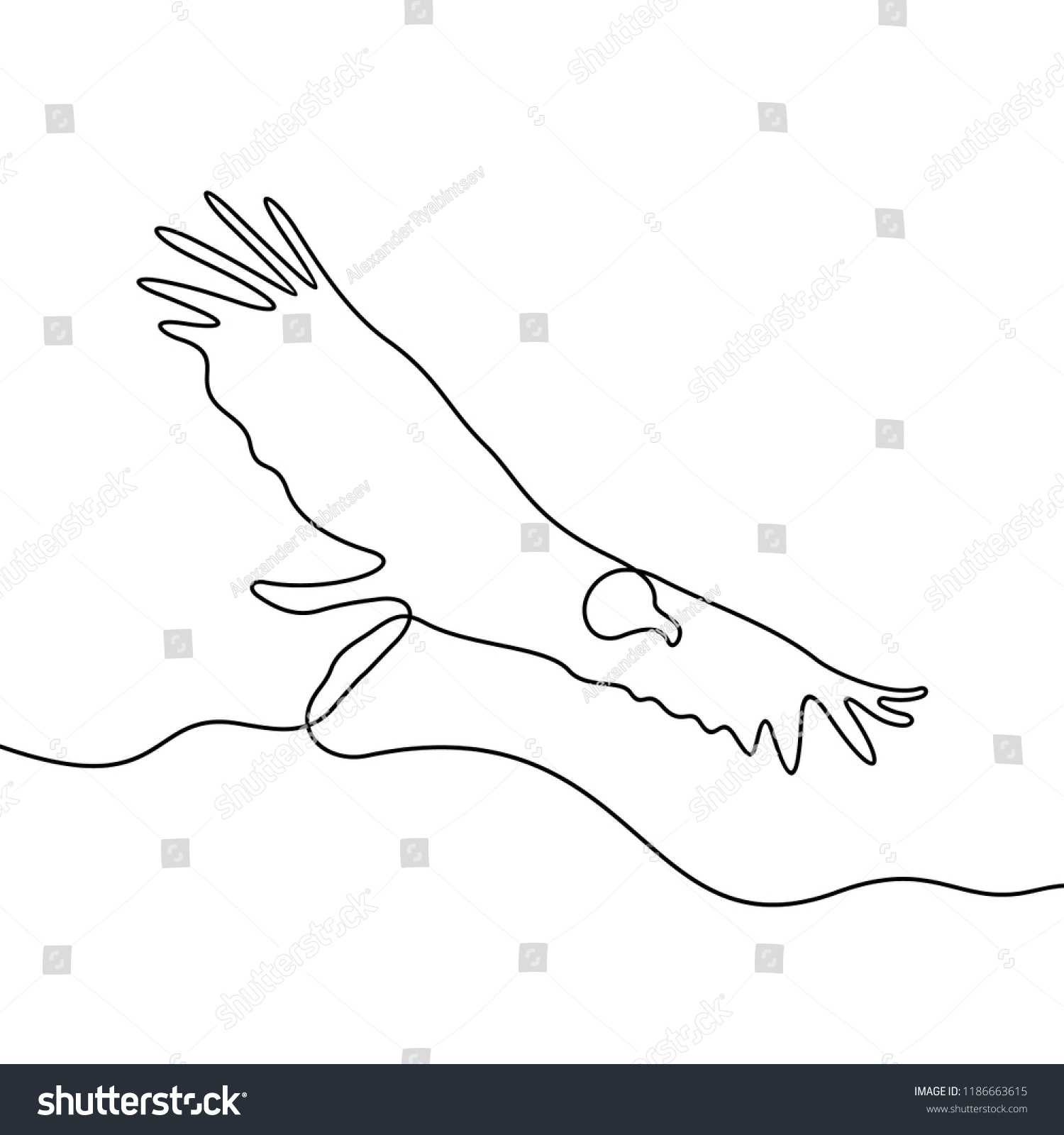 Condor Continuous Line Illustration Stock Vector (Royalty Free ...