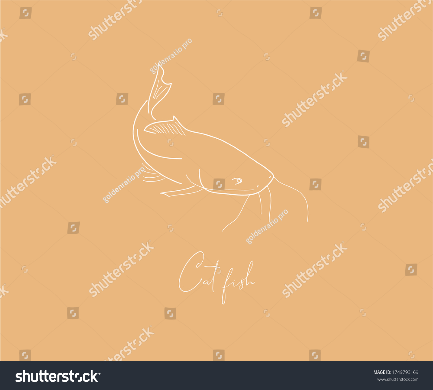 Continous Line Drawing Catfish Vector Illustration Stock Vector ...