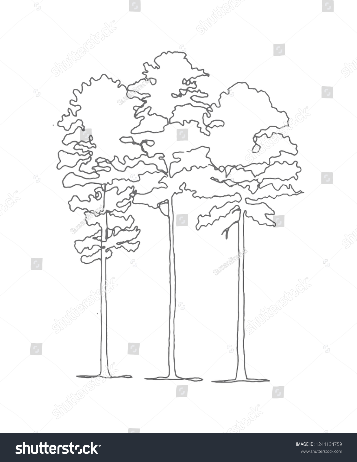 Continuous Line Tree Illustration Stock Vector (Royalty Free) 1244134759