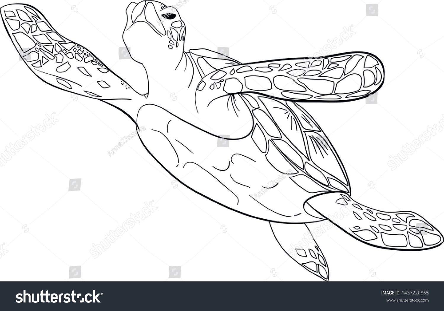 Contour Sea Turtle Isolated Background: vector de stock (libre de ...