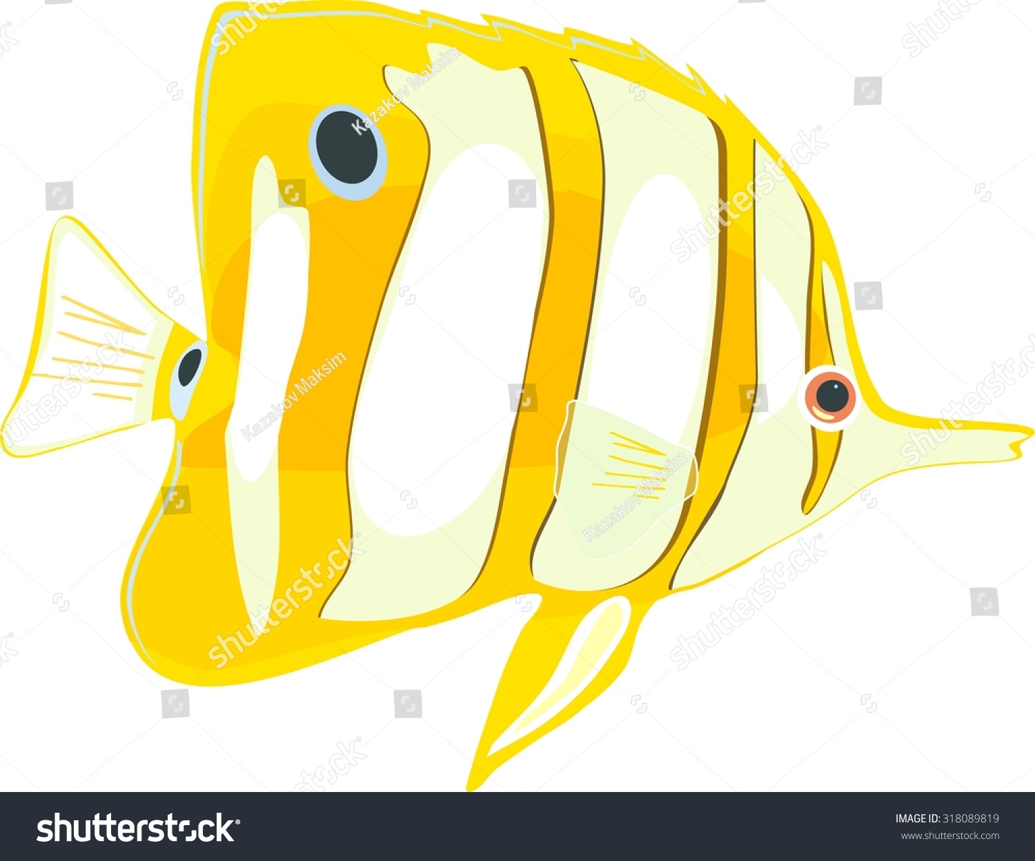 82 Chelmon rostratus Stock Illustrations, Images & Vectors | Shutterstock
