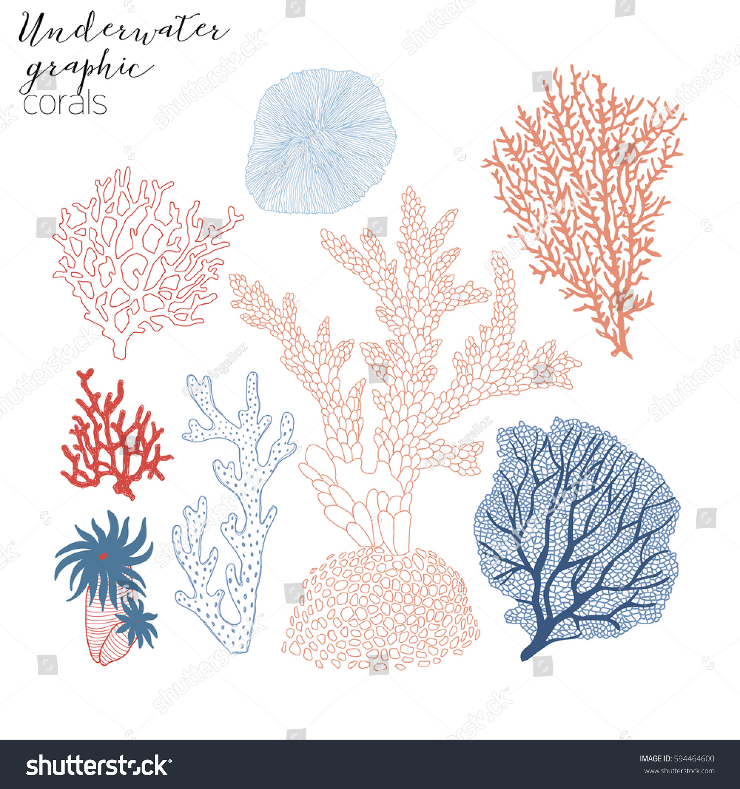 Corals Graphic Collection Stock Vector 594464600 - Shutterstock