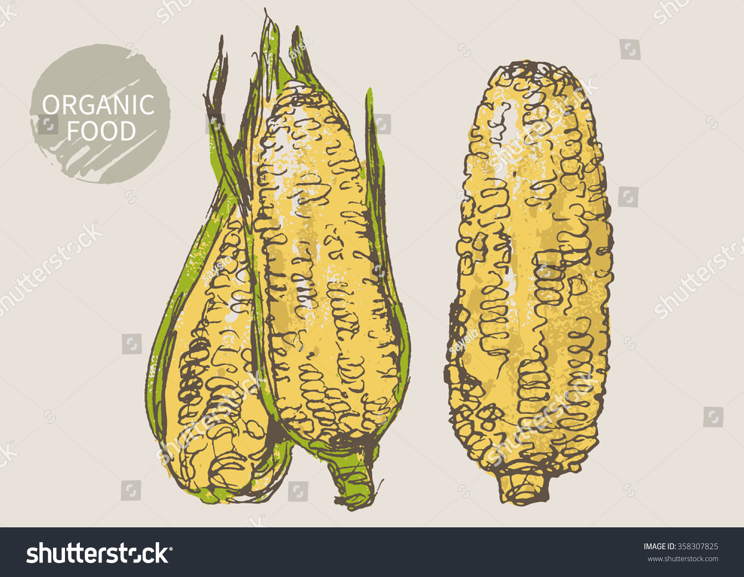 Corn Hand Drawn Sketch Vector: เวกเตอร์สต็อก (ปลอดค่าลิขสิทธิ์ ...