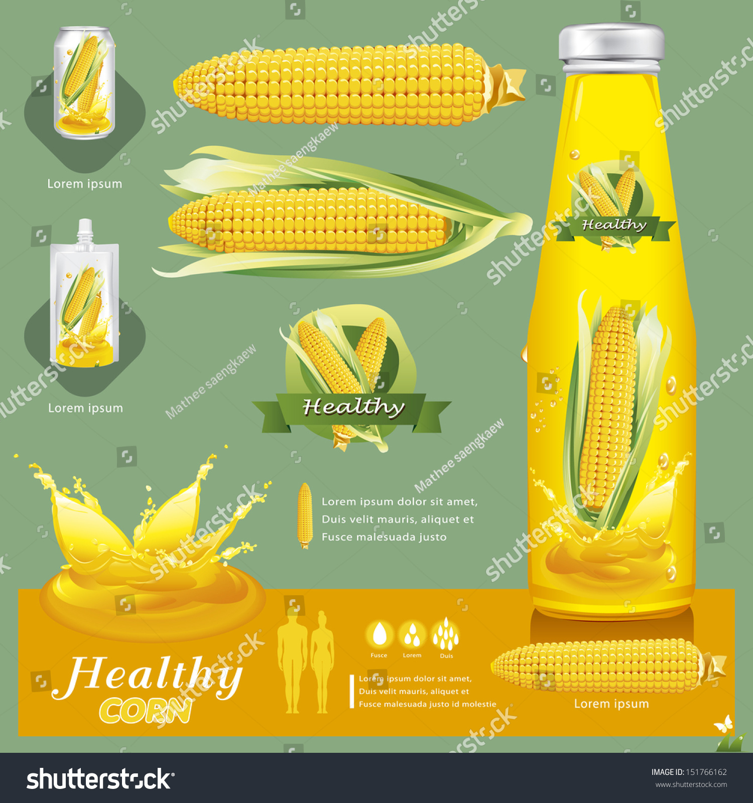 Corn Infographics.Vector Illustration - 151766162 : Shutterstock