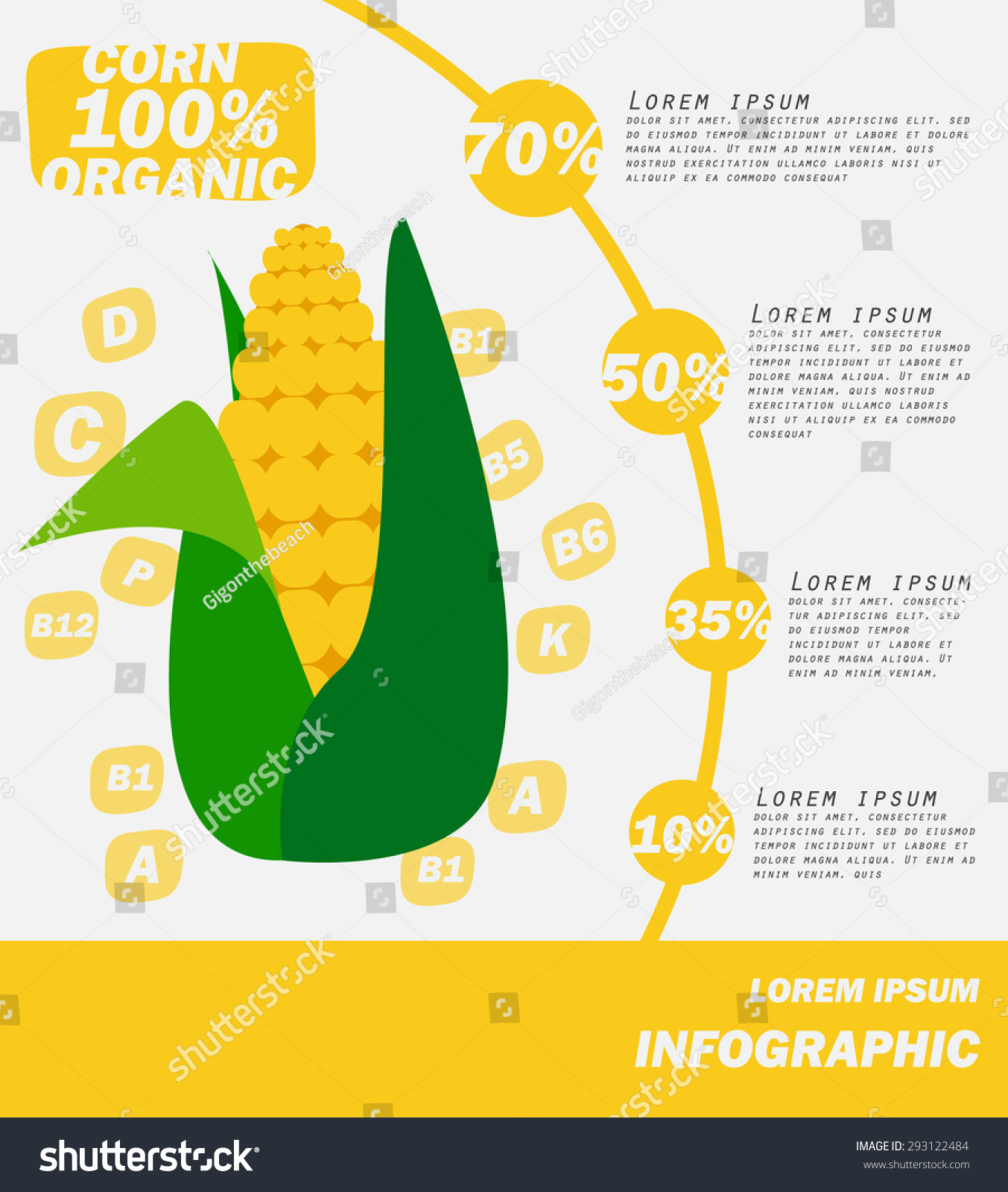 Corn Infographics Vegetables Vector Illustration Stock Vector (Royalty ...