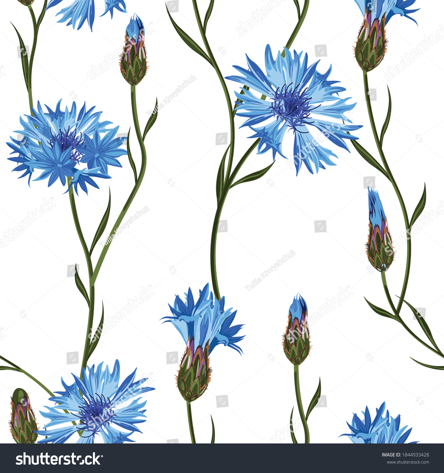 Cornflower Stock Illustrations, Images & Vectors | Shutterstock