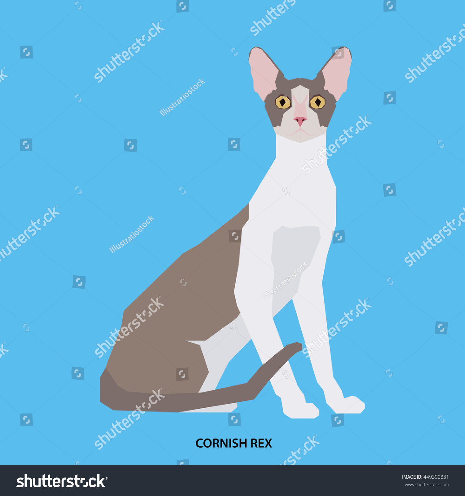 Cornish Rex Isolated Cat Breed Vector Stock Vector (Royalty Free) 449390881