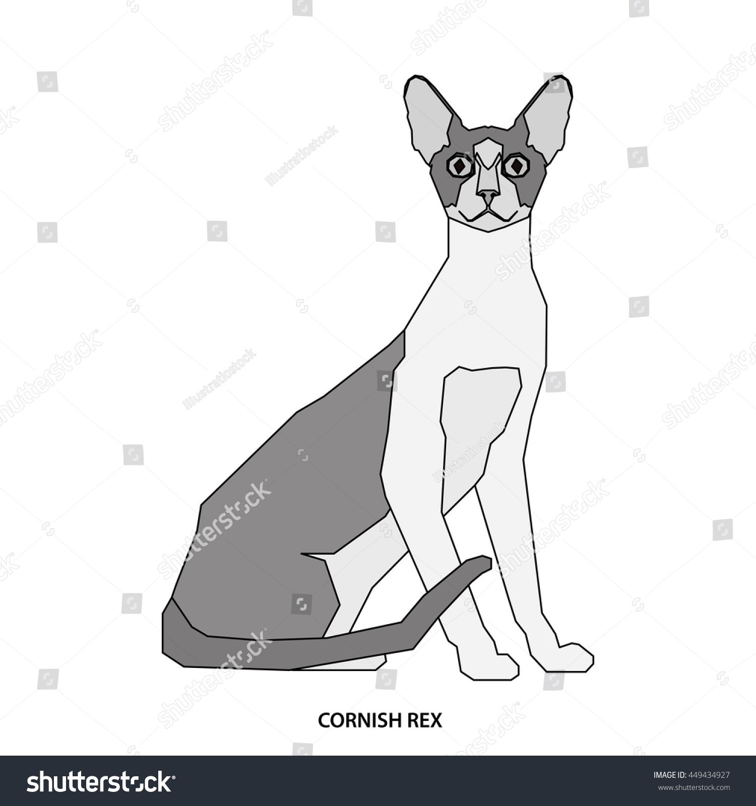 Cornish Rex Isolated Cat Breed Vector Stock Vector (Royalty Free) 449434927