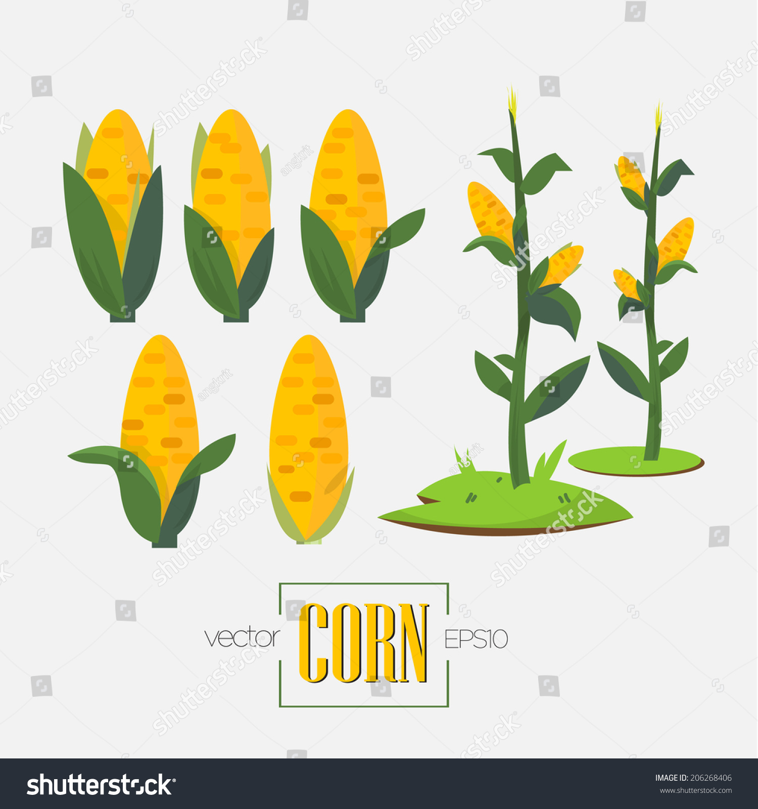Corns Corn Tree Vector Illustration 库存矢量图（免版税）206268406 | Shutterstock