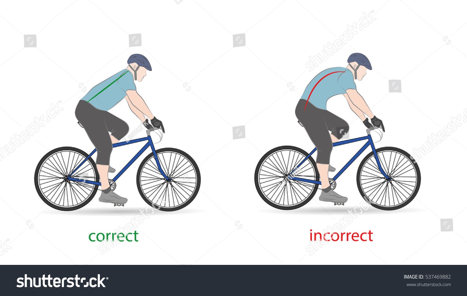 Correct Posture Cycling Vector Illustration: เวกเตอร์สต็อก (ปลอดค่า ...