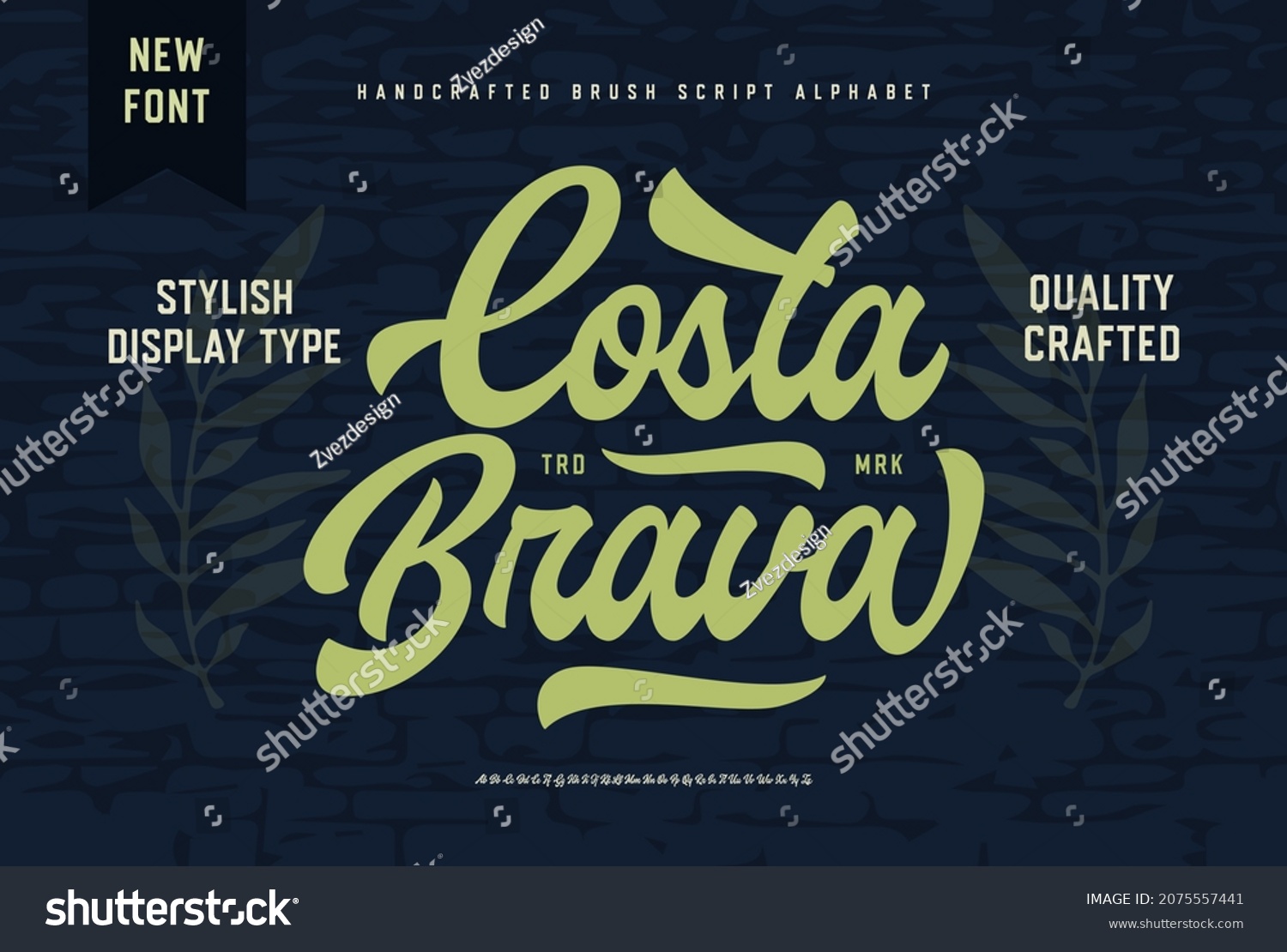 Costa Brava Script Font Vector Illustration Stock Vector (Royalty Free ...