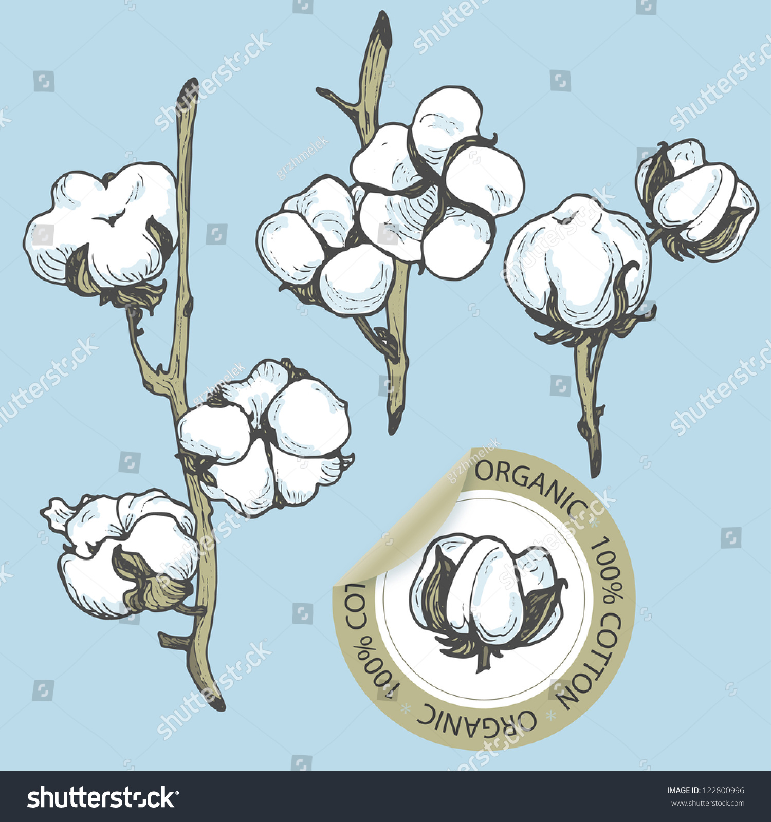 Cotton Set Sticker Vector Stock Vector (Royalty Free) 122800996