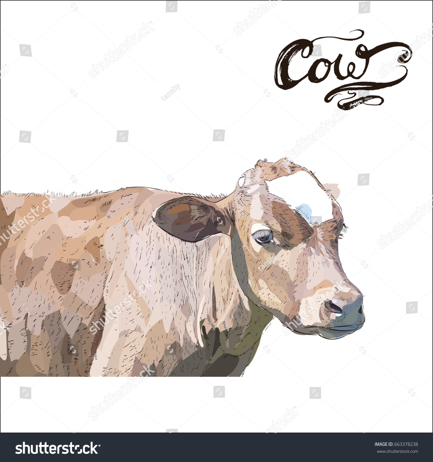 Cow Calf Brown Vector Stock Vector (Royalty Free) 663378238 | Shutterstock