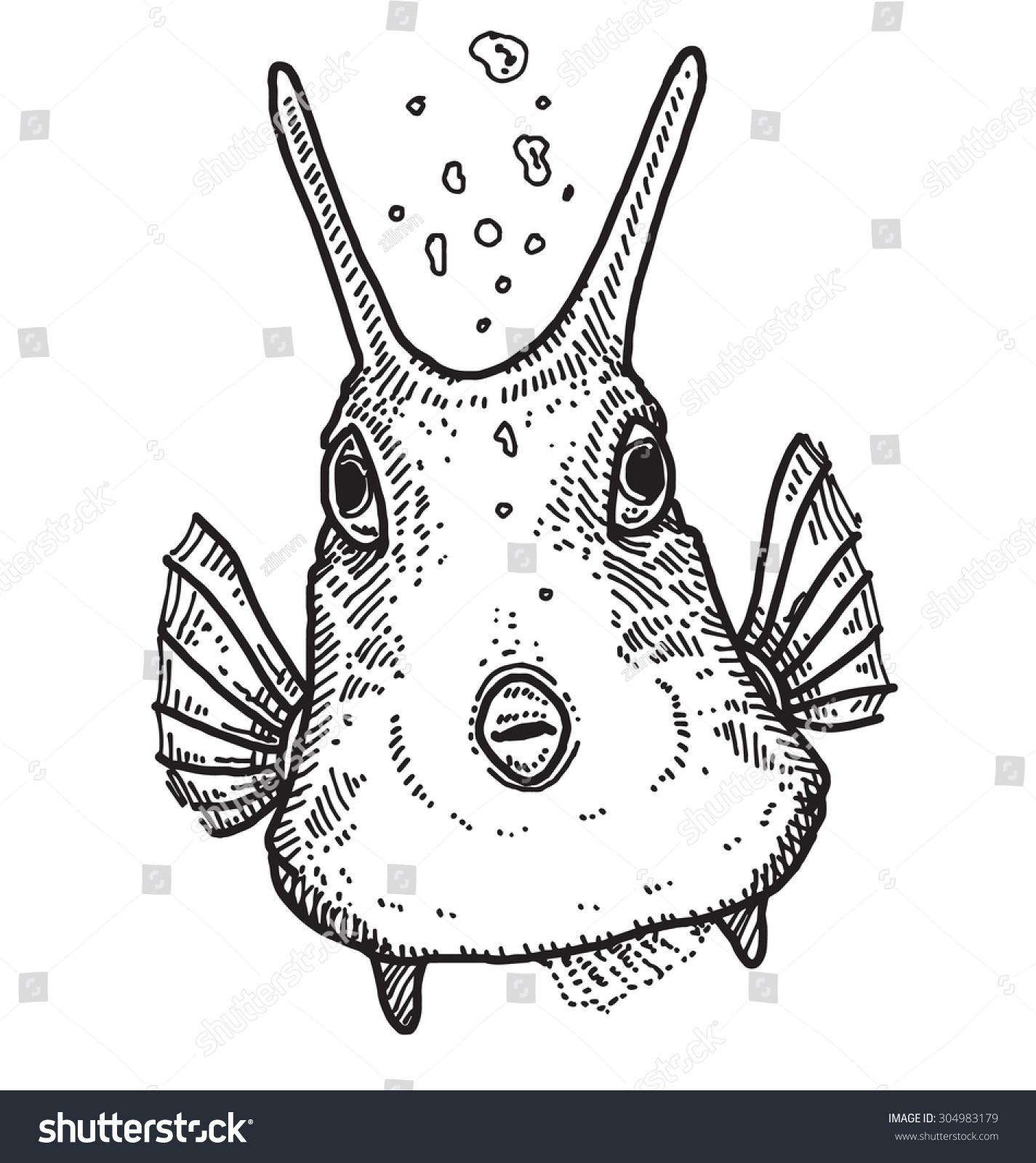 Cow Fish Vector Illustration: เวกเตอร์สต็อก (ปลอดค่าลิขสิทธิ์ ...