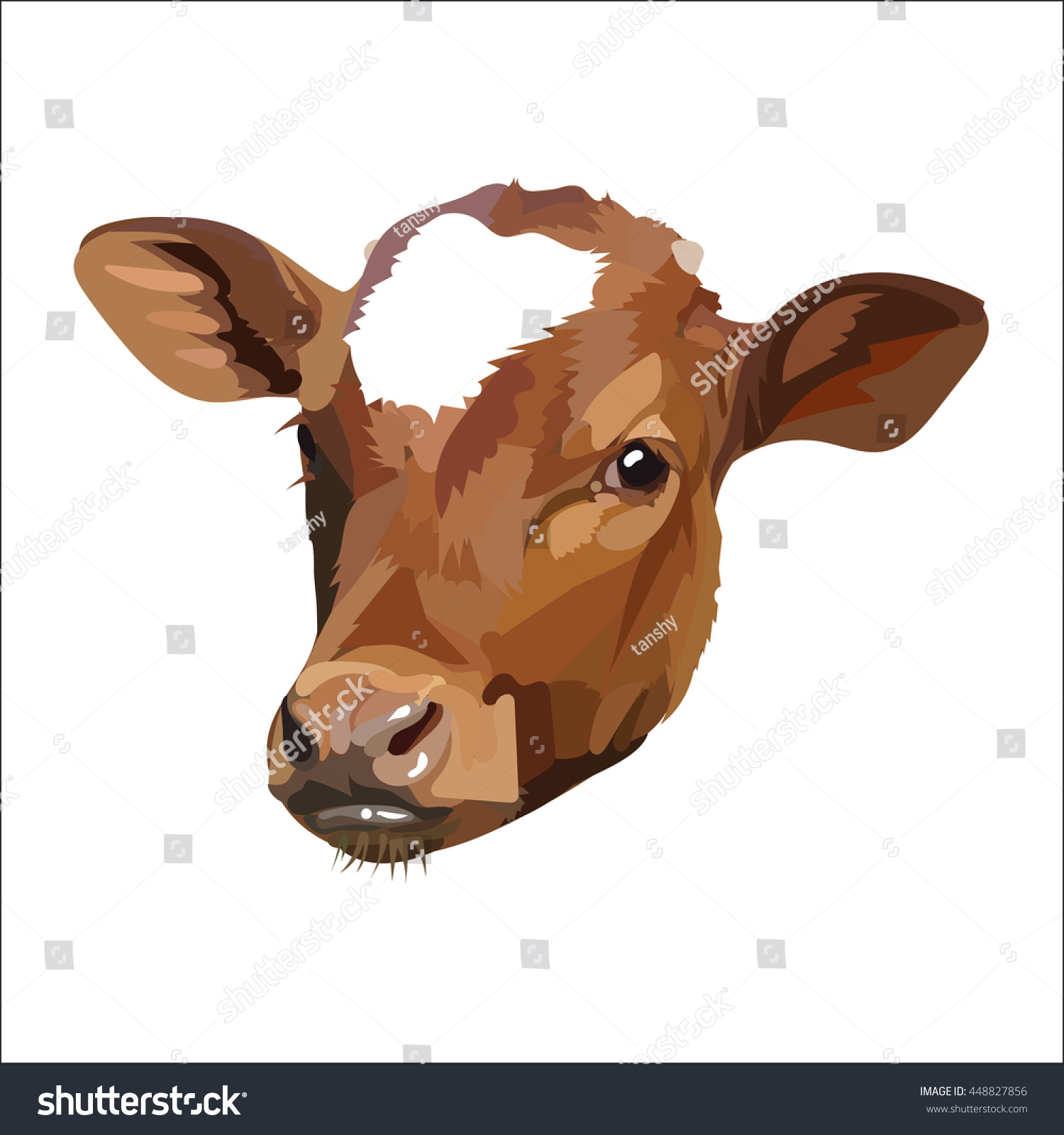 Cow Head Vector Stock Vector (Royalty Free) 448827856