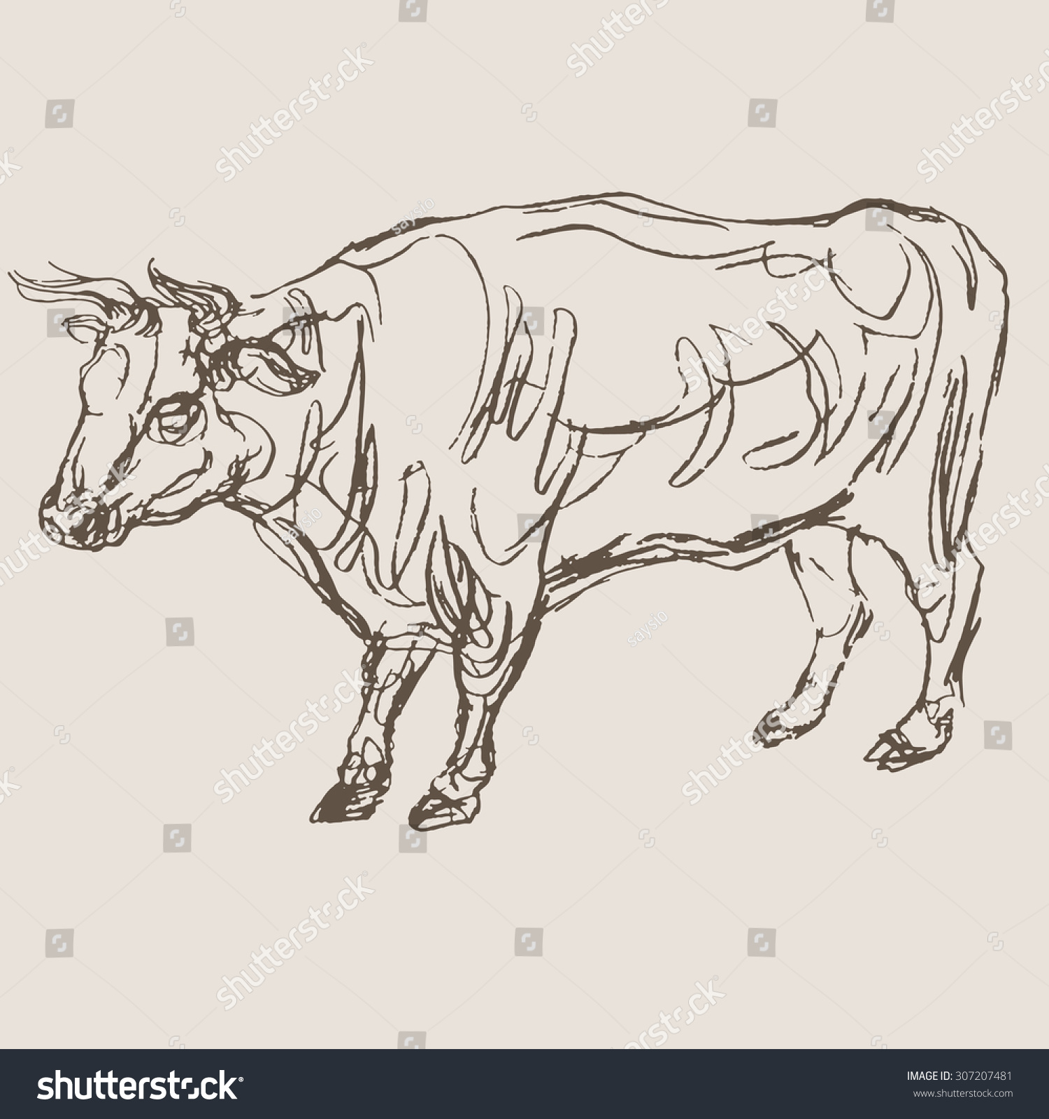 Cow Vector Hand Draw Sketch: vector de stock (libre de regalías ...