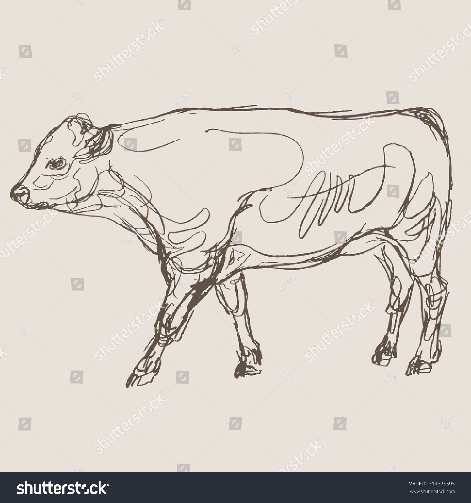 Cow Vector Hand Draw Sketch Stock Vector (Royalty Free) 314325698