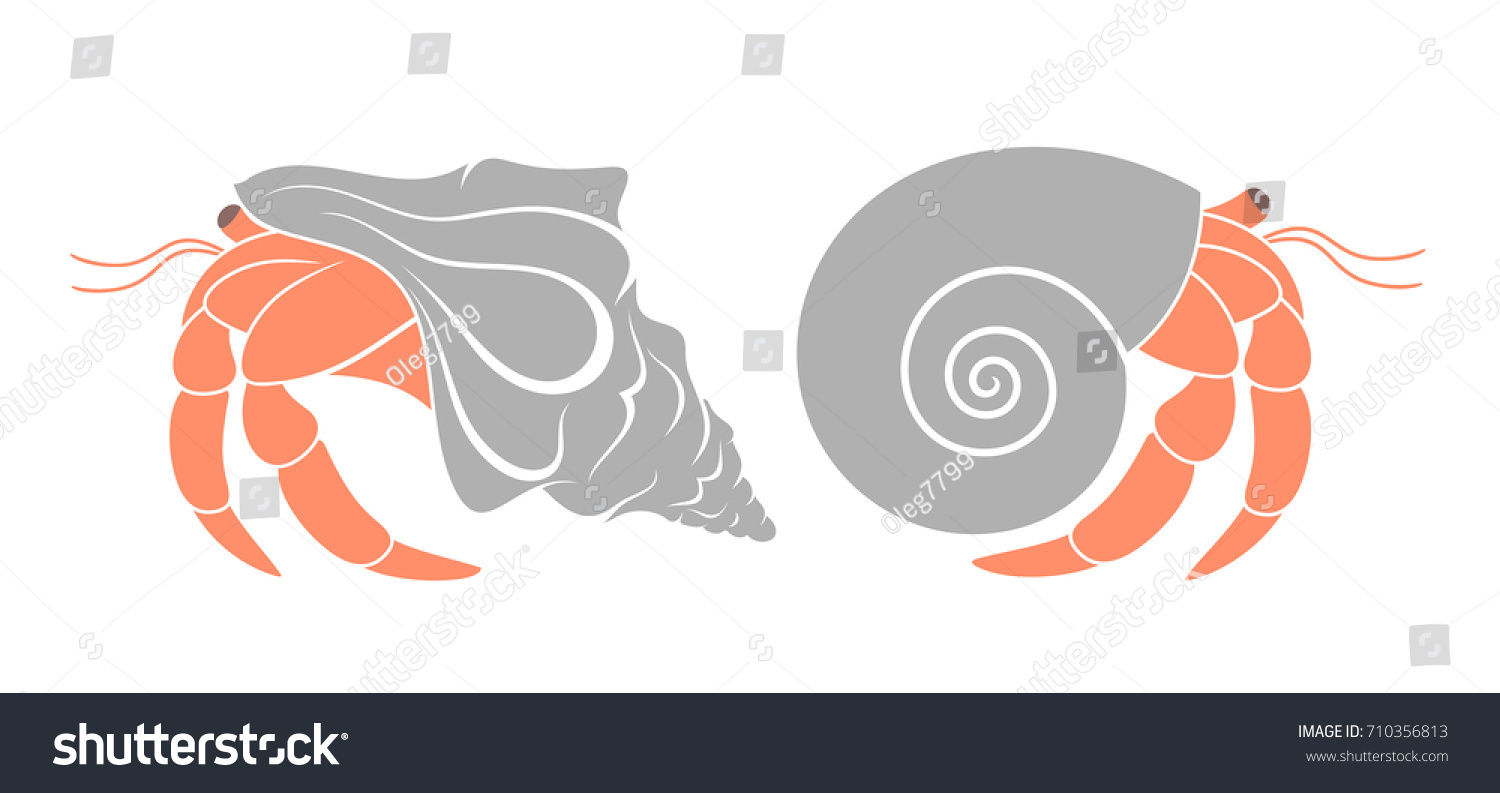 Crab Hermit Isolated Crab On White Stock Vector (Royalty Free) 710356813